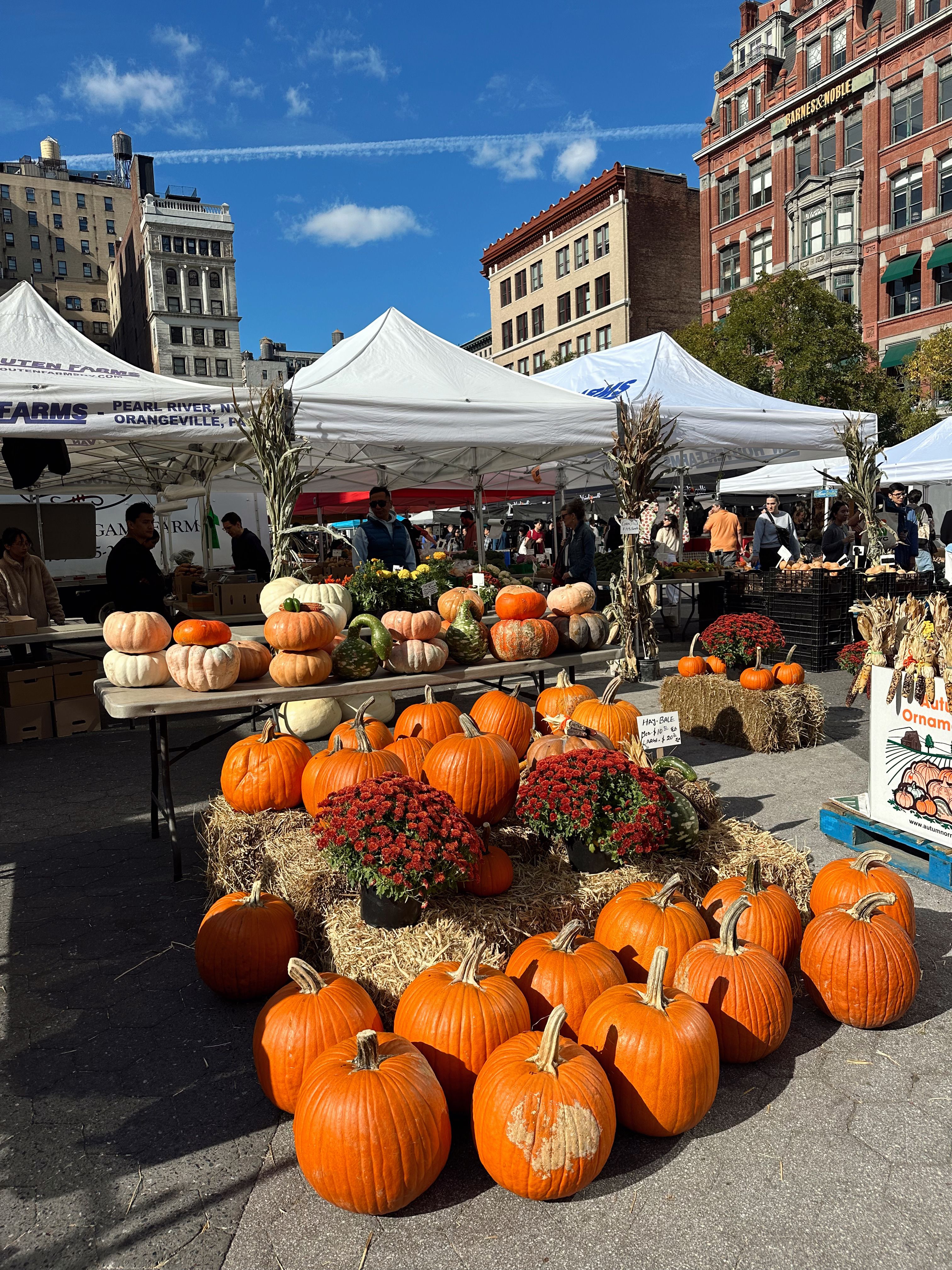 Vibrant Fall Farmers Market with Fresh Pumpkins · Free Stock Photo