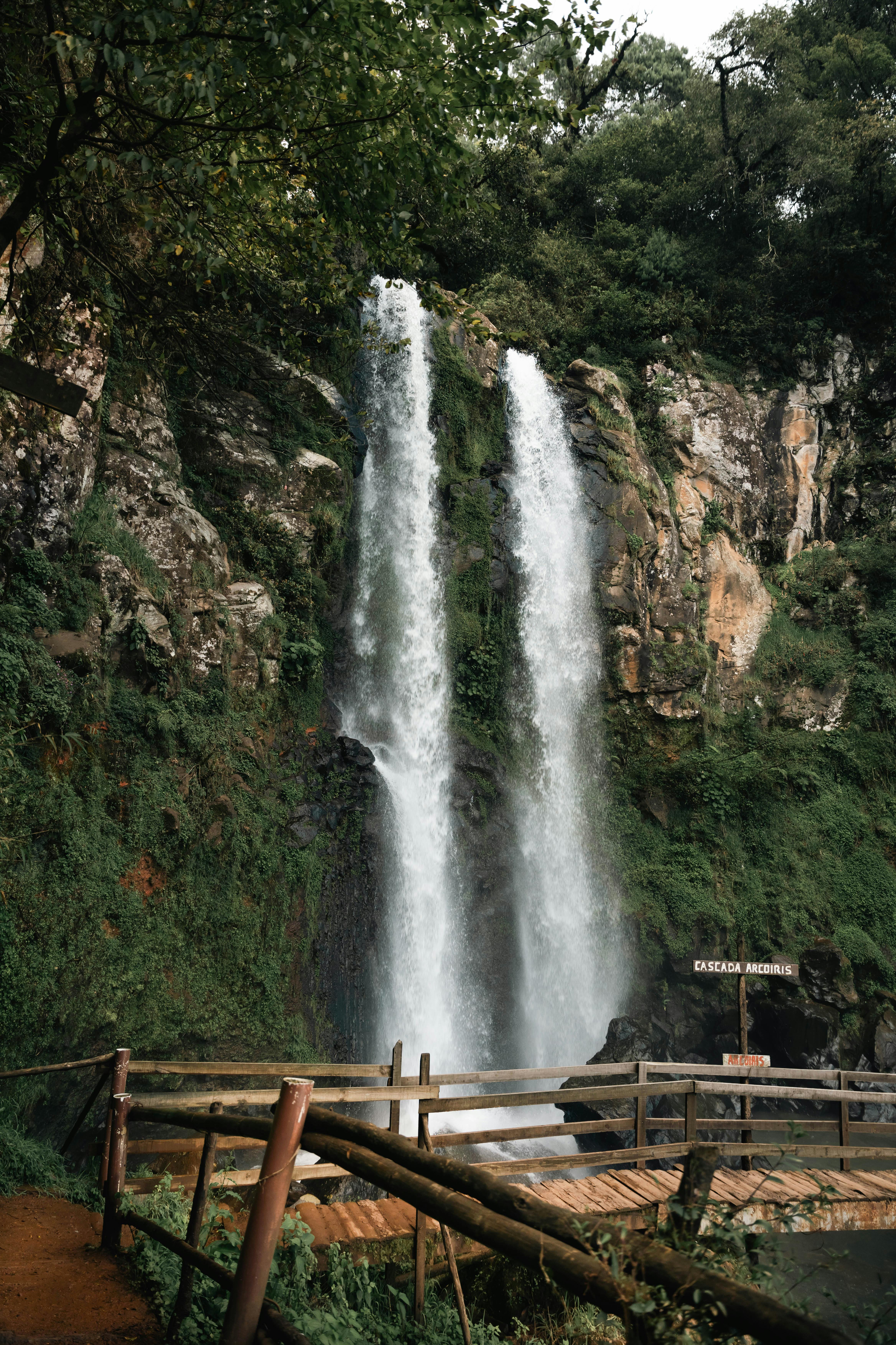 Majestic Double Waterfall in a Lush Forest · Free Stock Photo