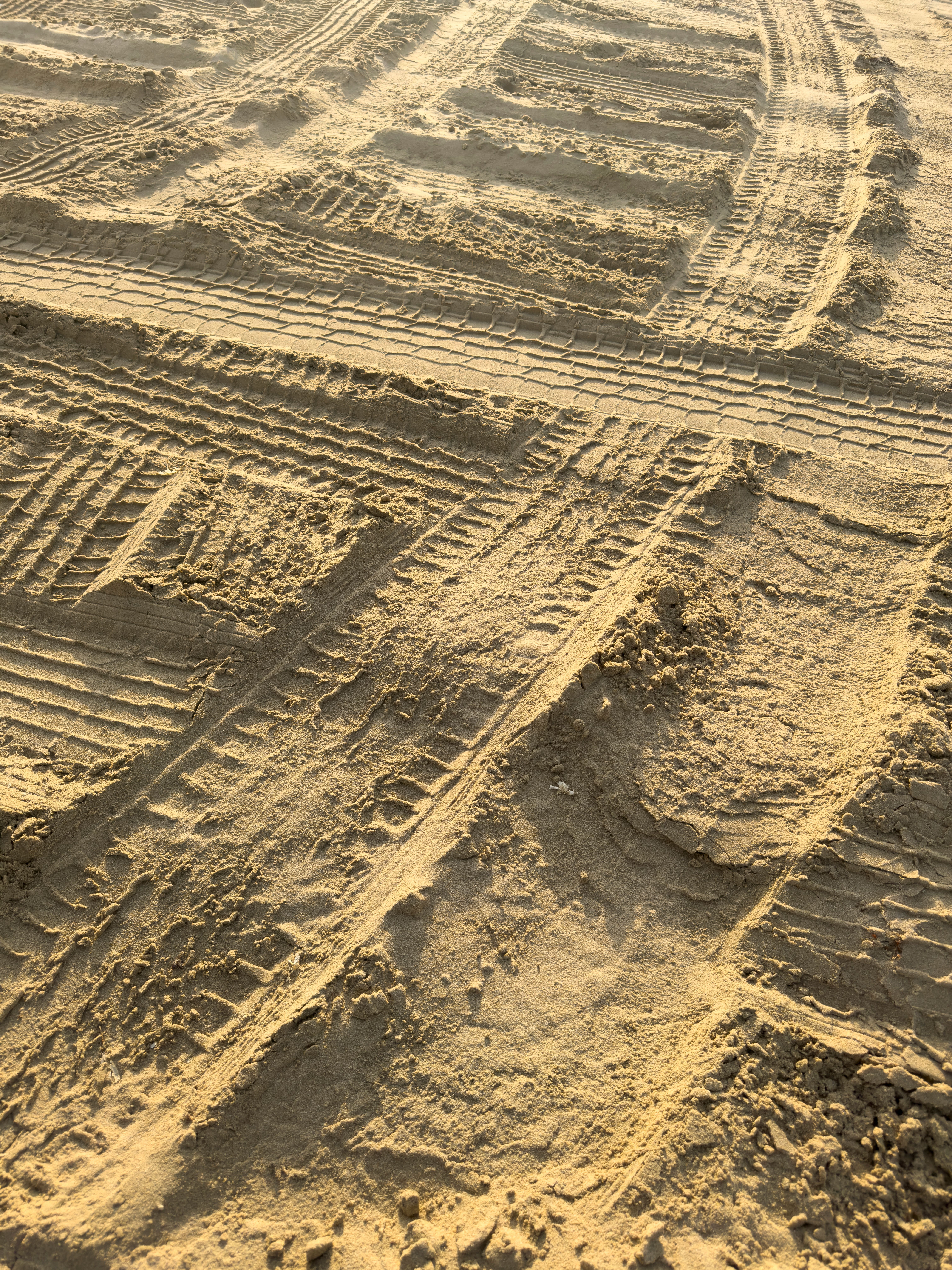 Tire Tracks on Sunlit Desert Sand · Free Stock Photo