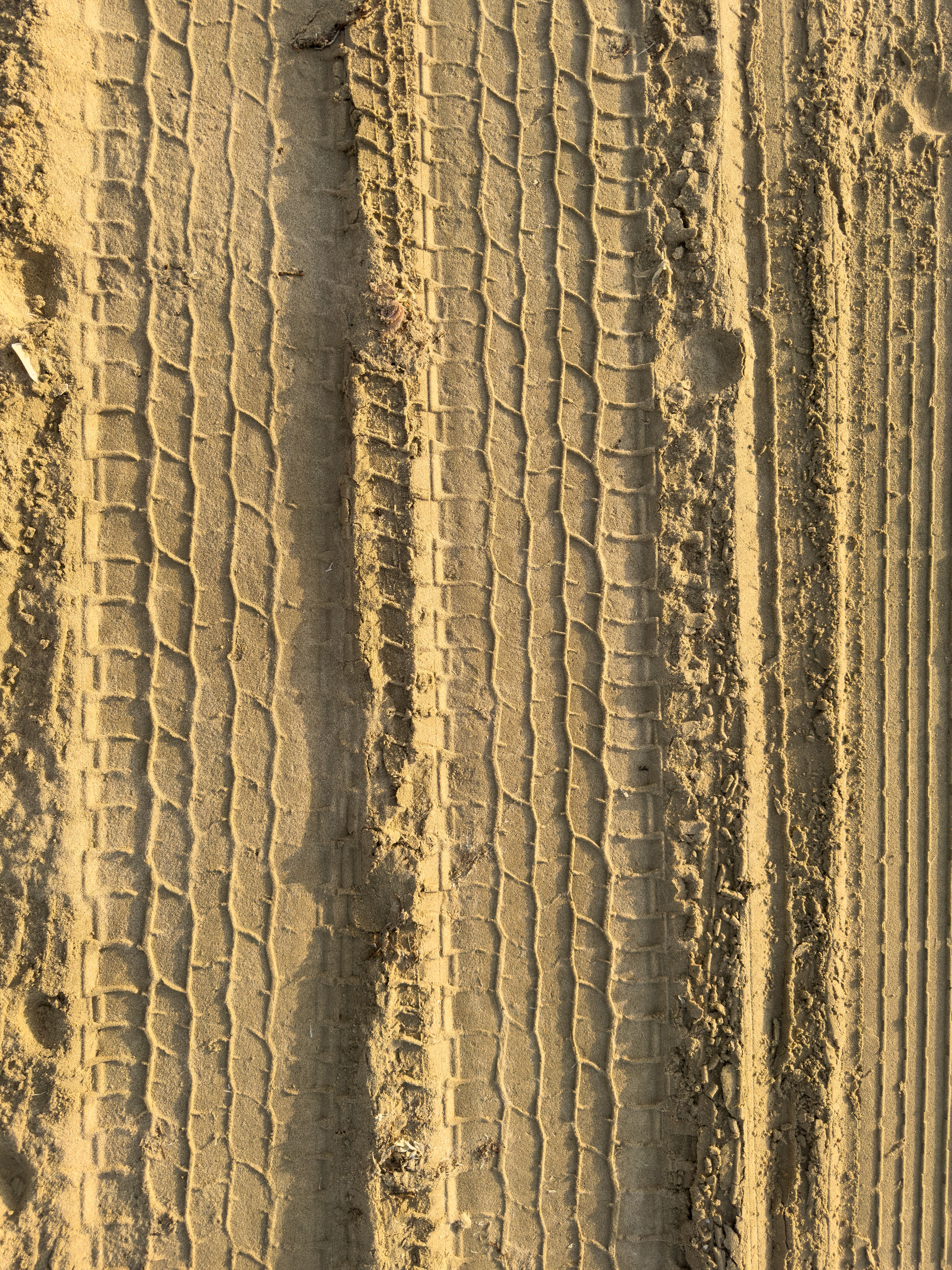 Tire Tracks in Sandy Desert Landscape · Free Stock Photo