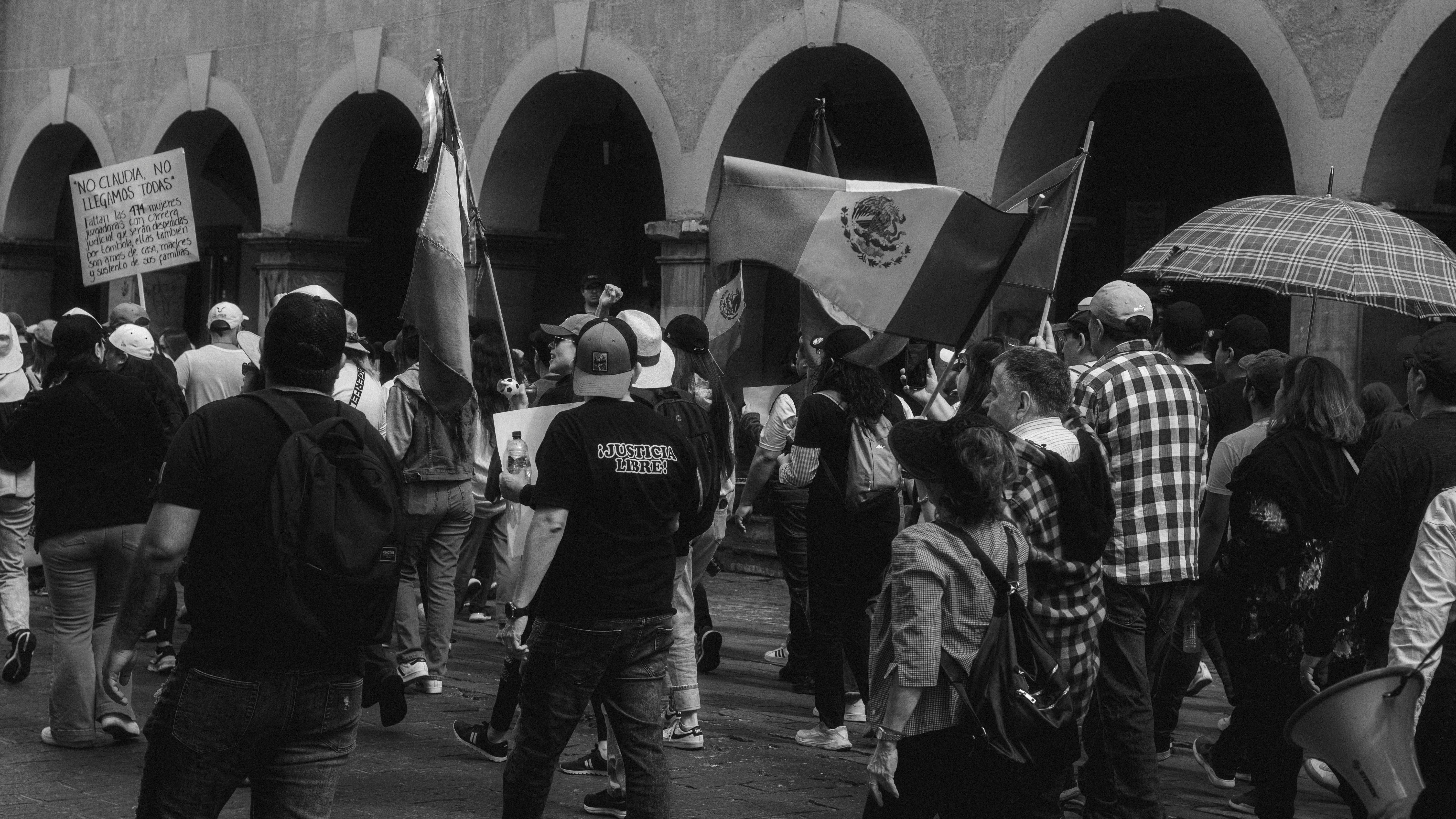 Black and White Protest Scene with Mexican Flags · Free Stock Photo