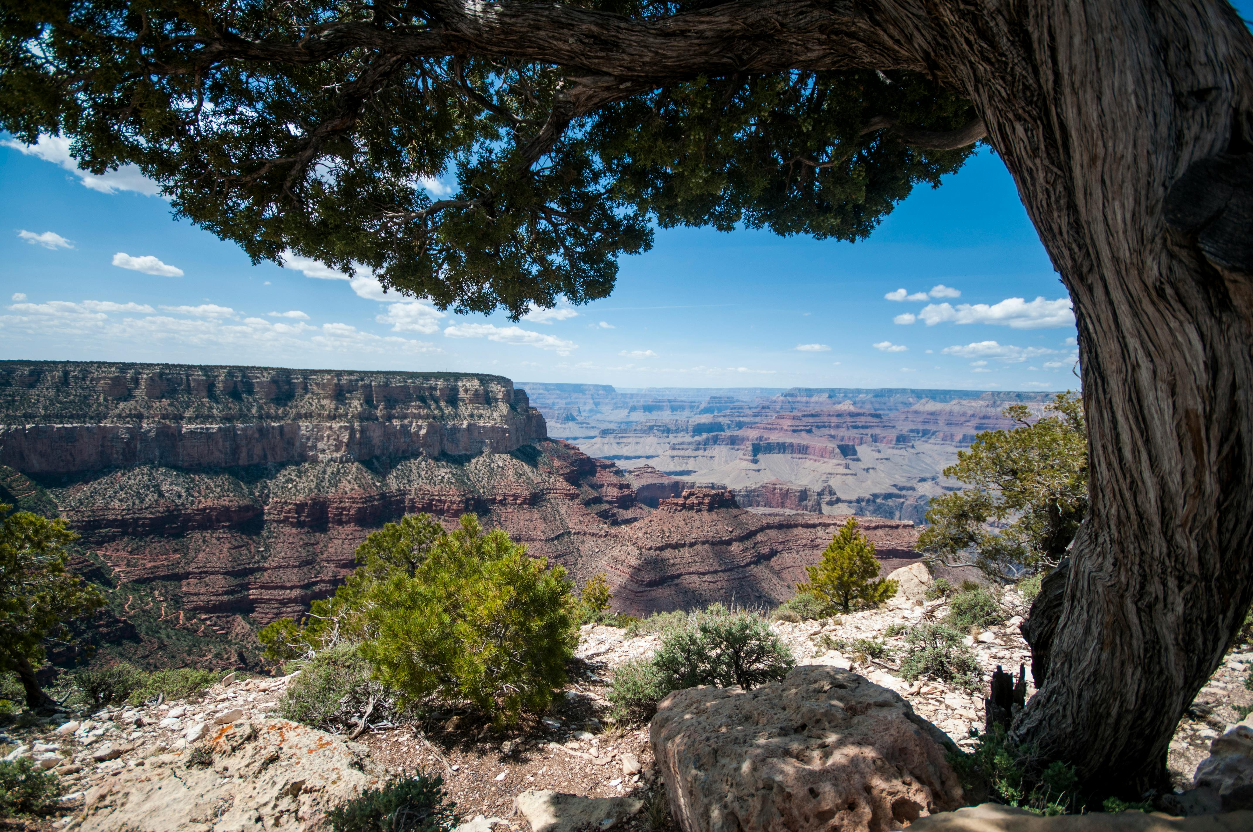 Scenic View of the Grand Canyon Landscape · Free Stock Photo