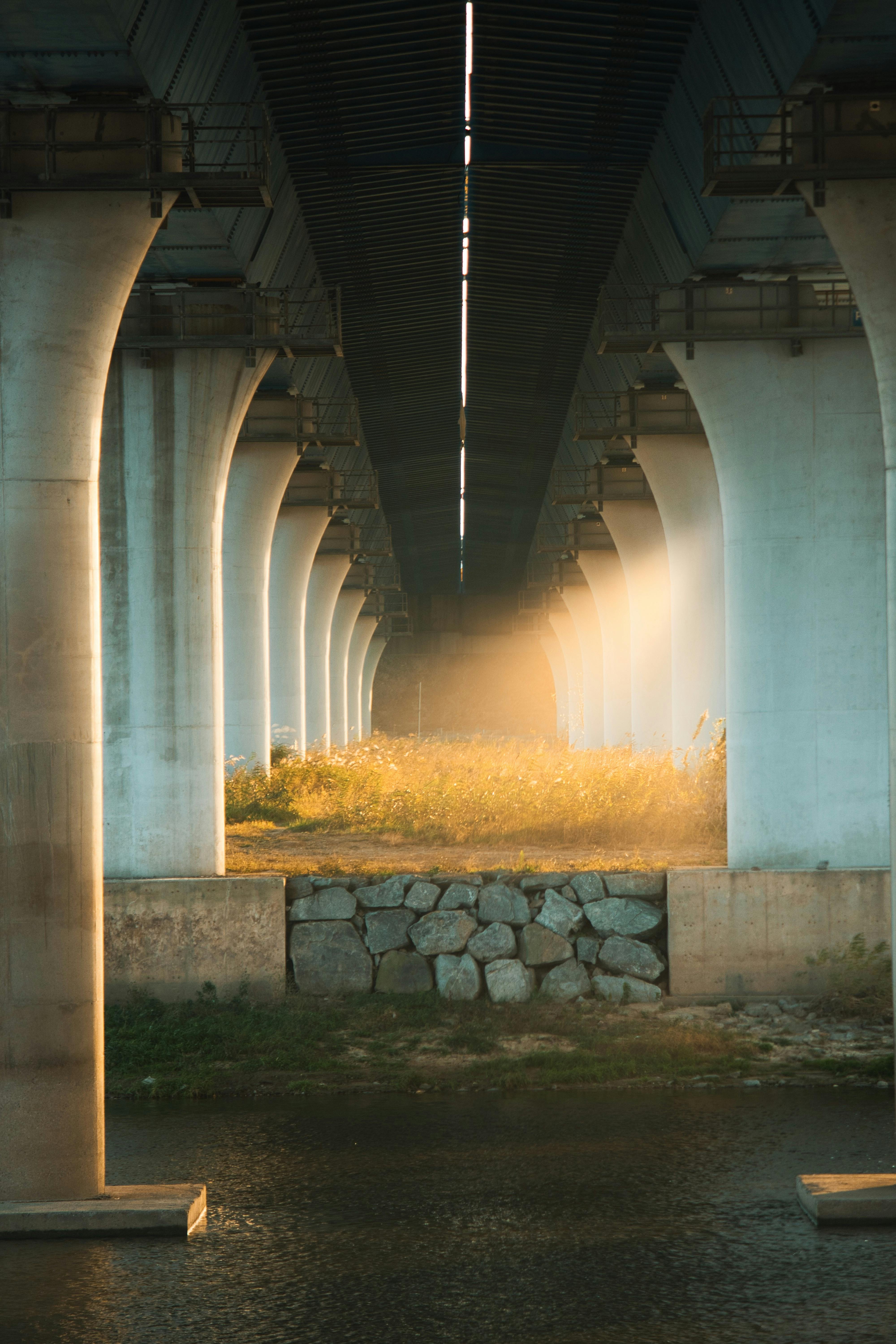 Brown Wooden Bridge · Free Stock Photo