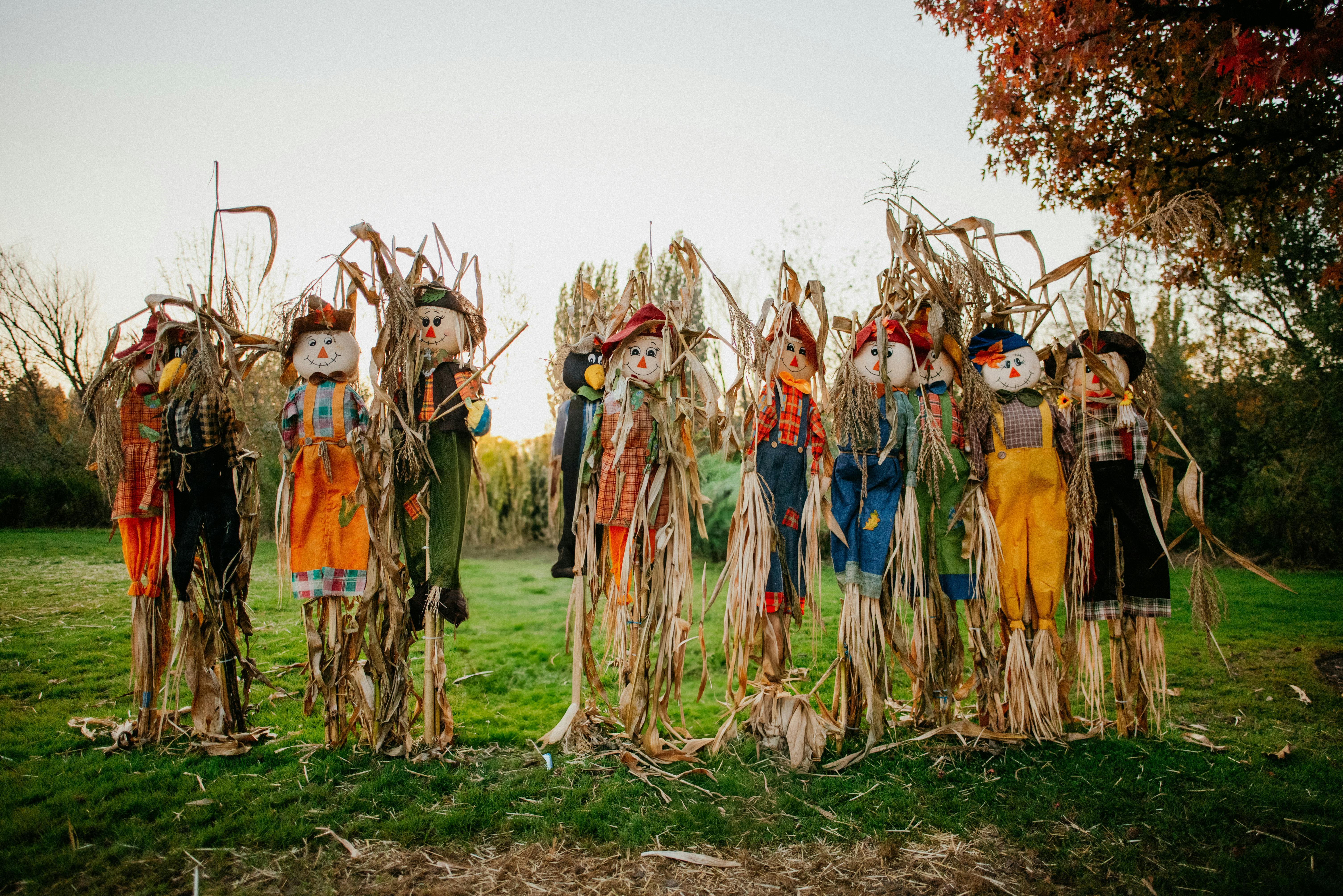 Colorful Scarecrow Display in Autumn Field · Free Stock Photo
