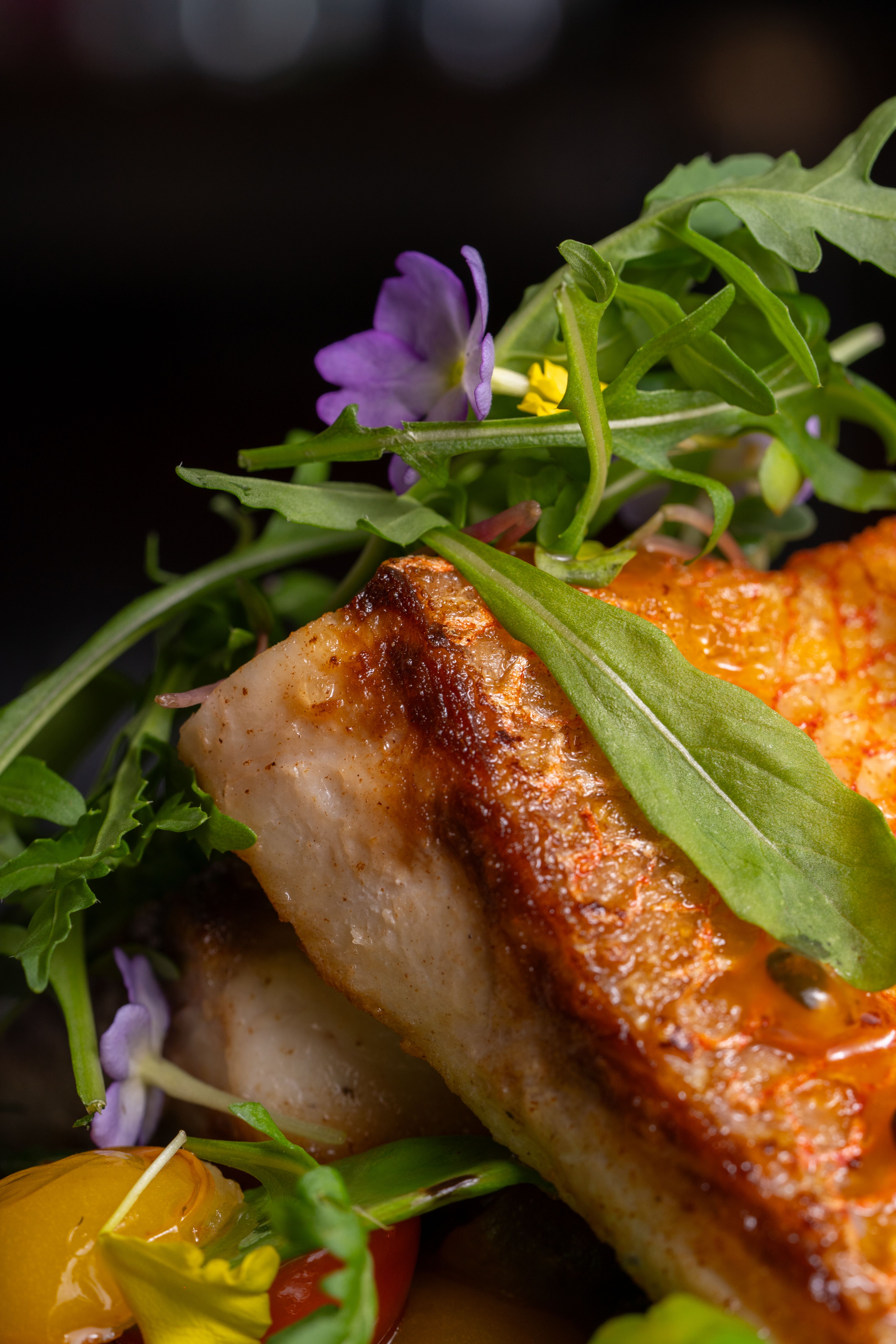 Gourmet Grilled Fish with Colorful Vegetables · Free Stock Photo