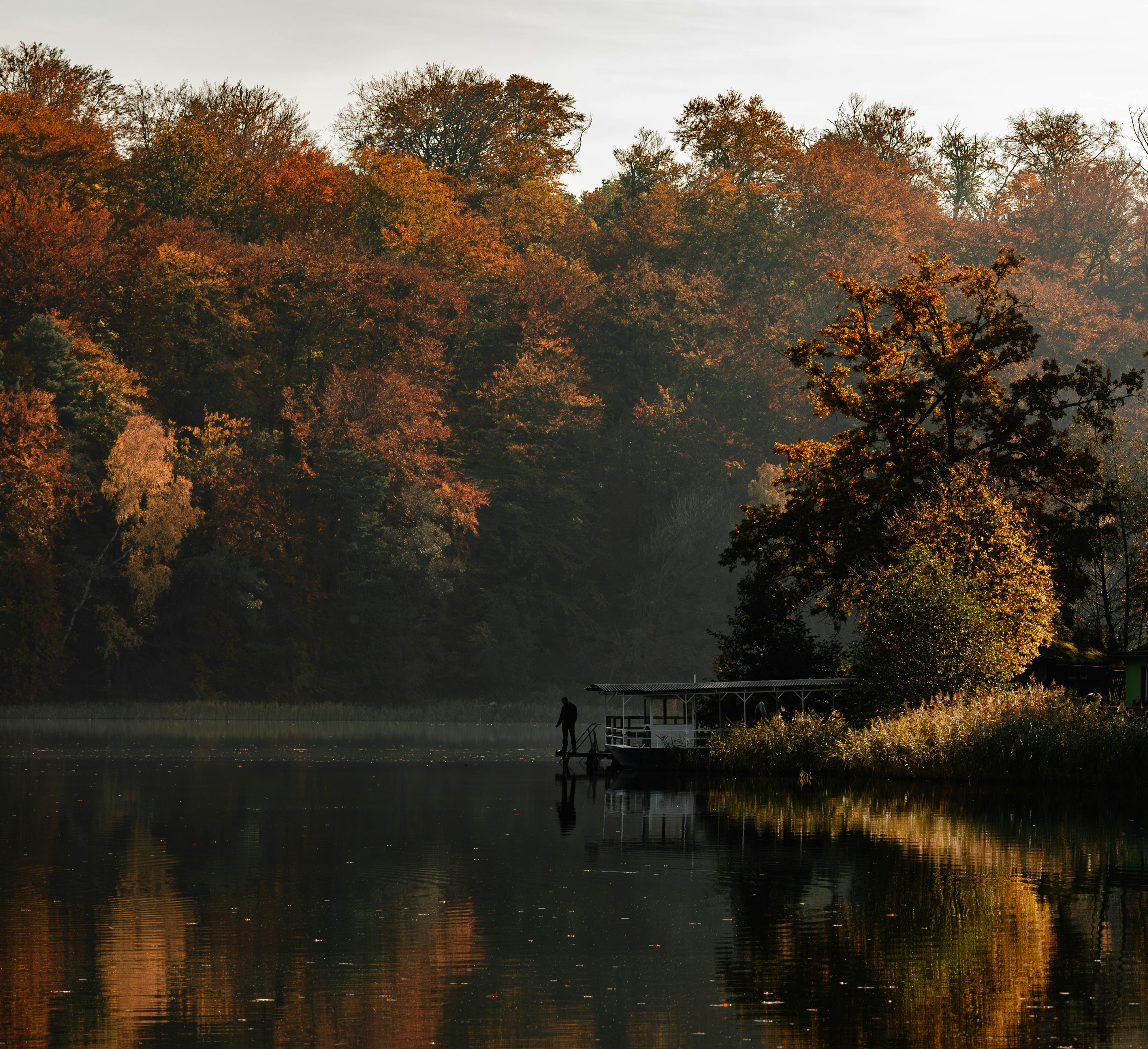 Serene Autumn Lake Scene with Vibrant Foliage · Free Stock Photo