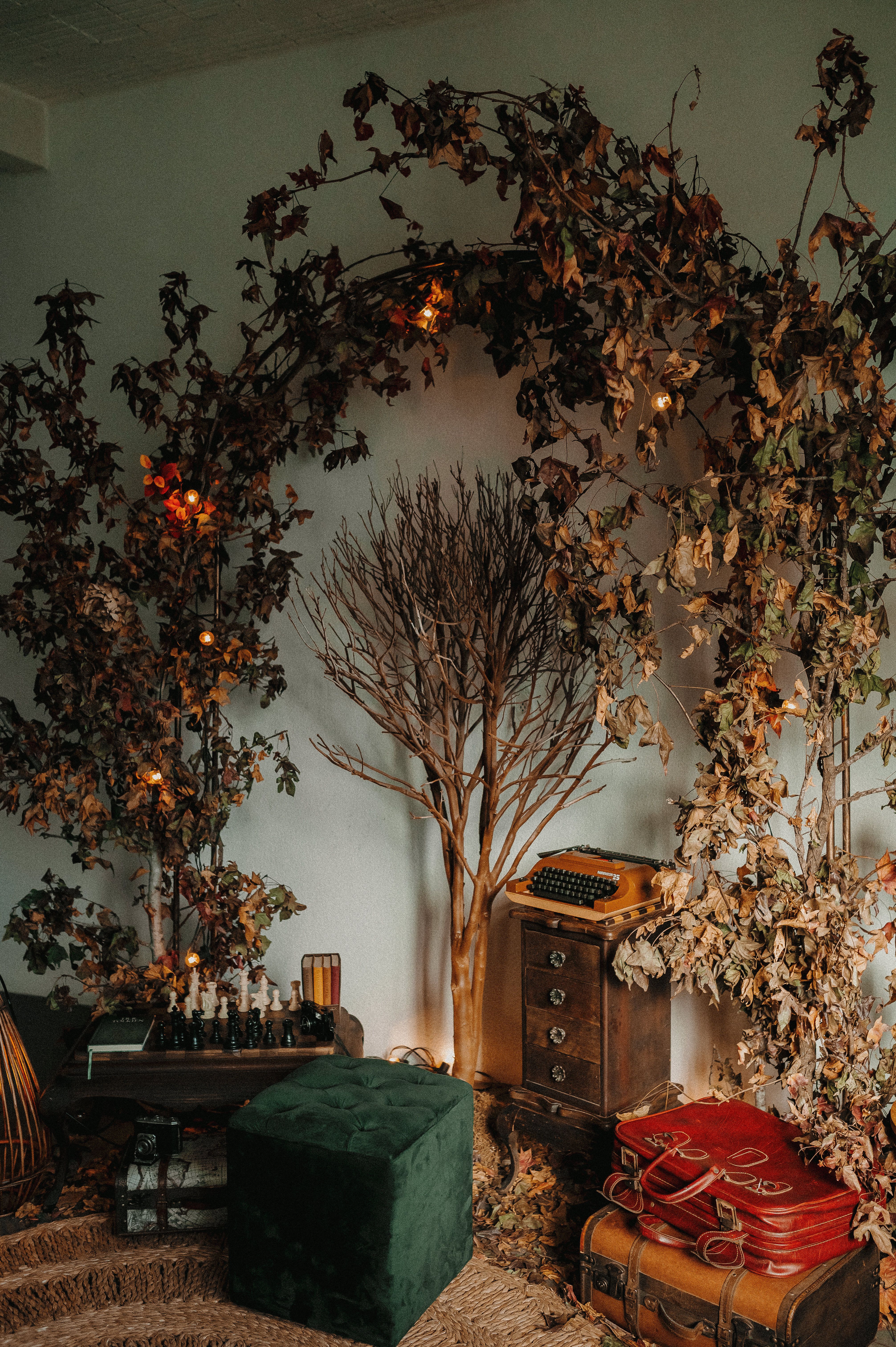 Vintage Autumn-themed Cozy Indoor Decor · Free Stock Photo