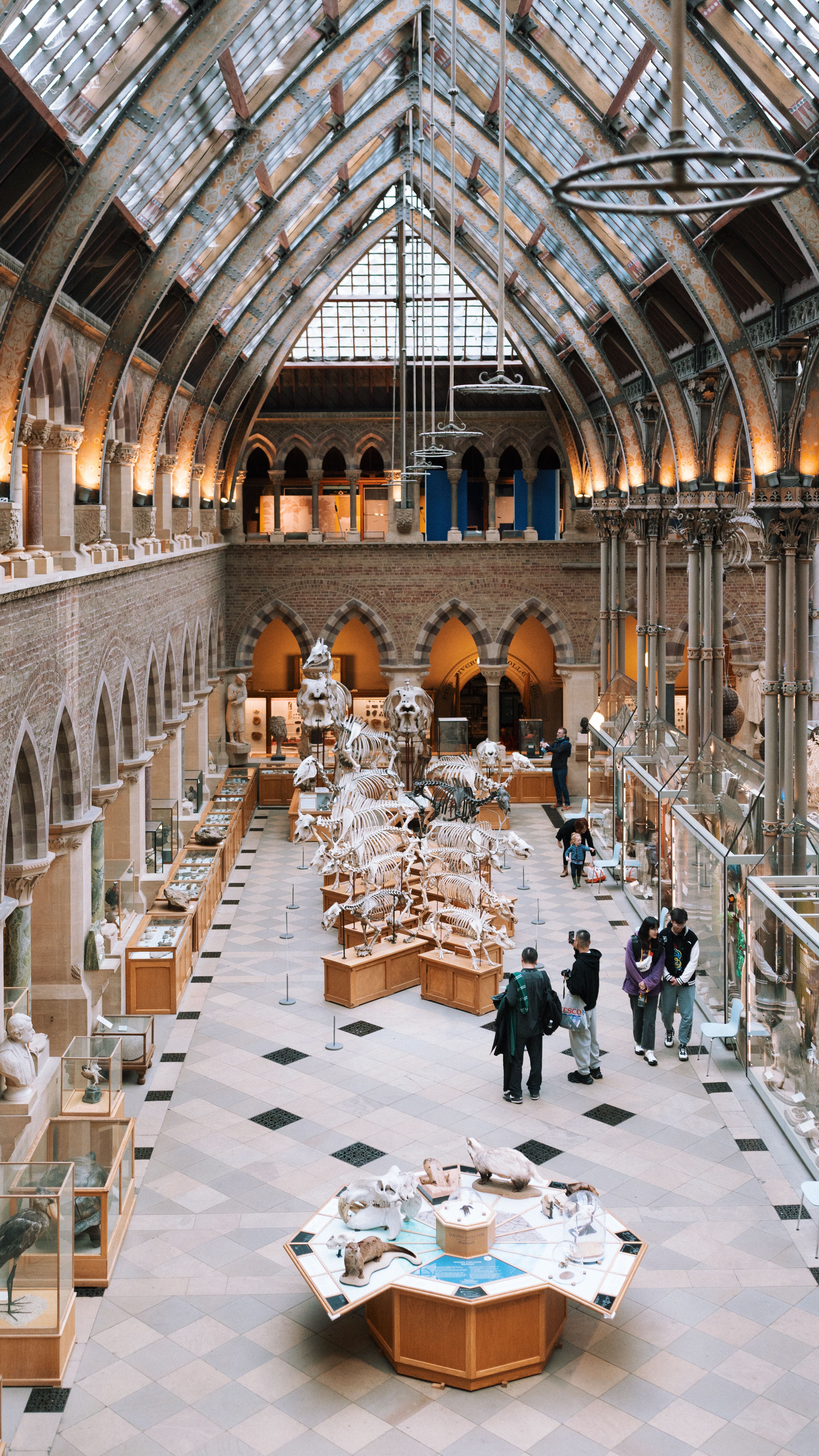 Interior of Historical Museum with Exhibits · Free Stock Photo