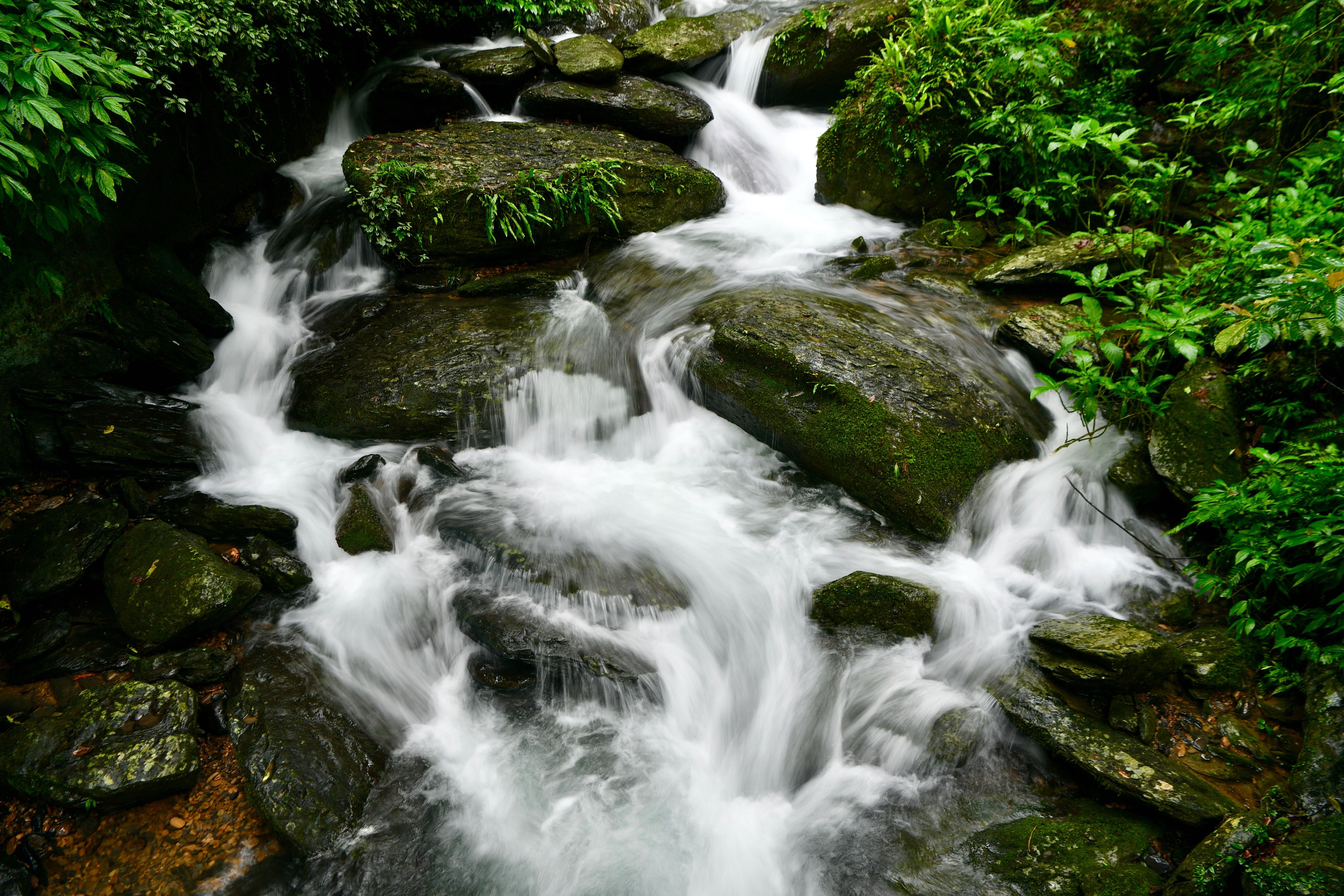 Serene Mountain Stream with Flowing Water · Free Stock Photo