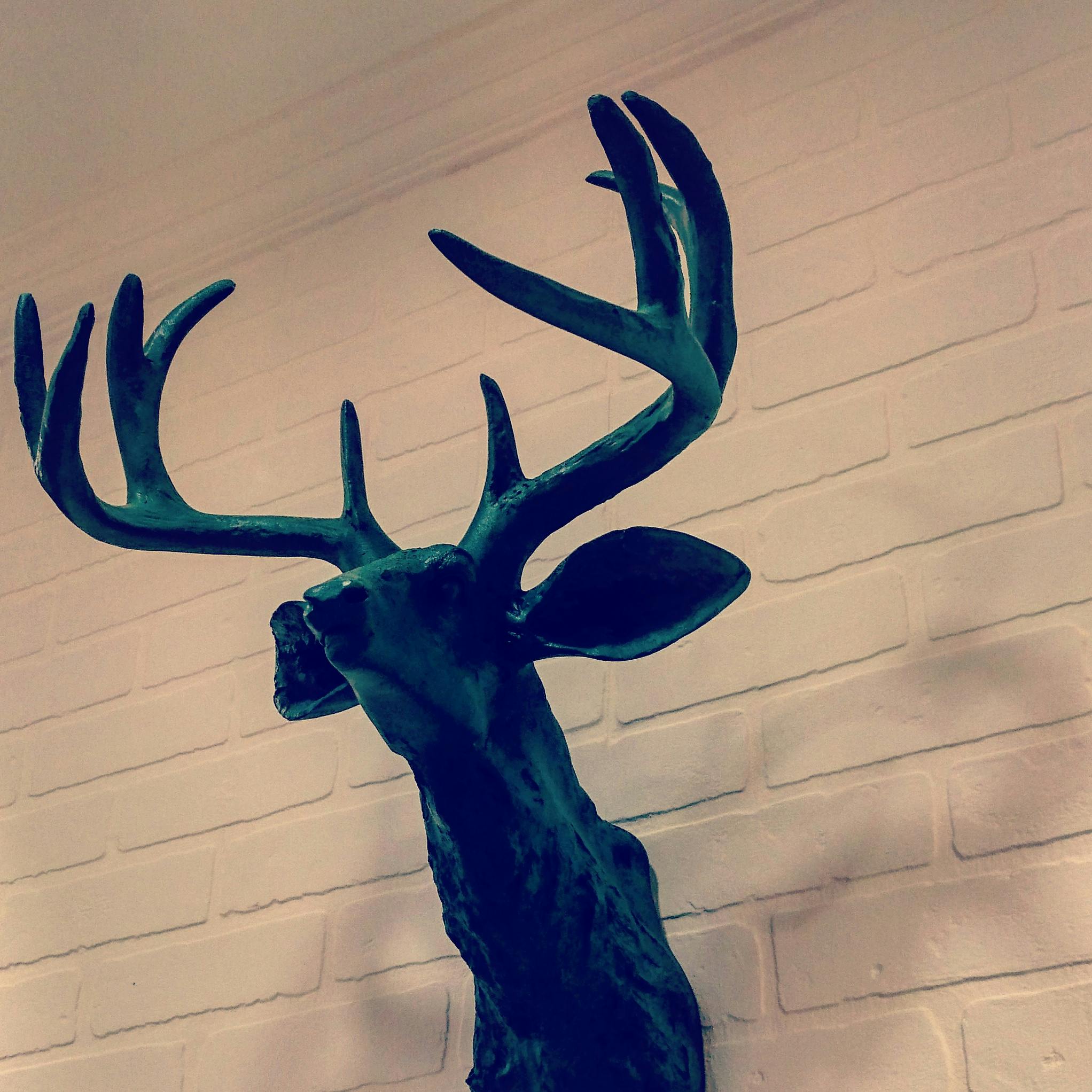 Free stock photo of blue, hils, himalayas