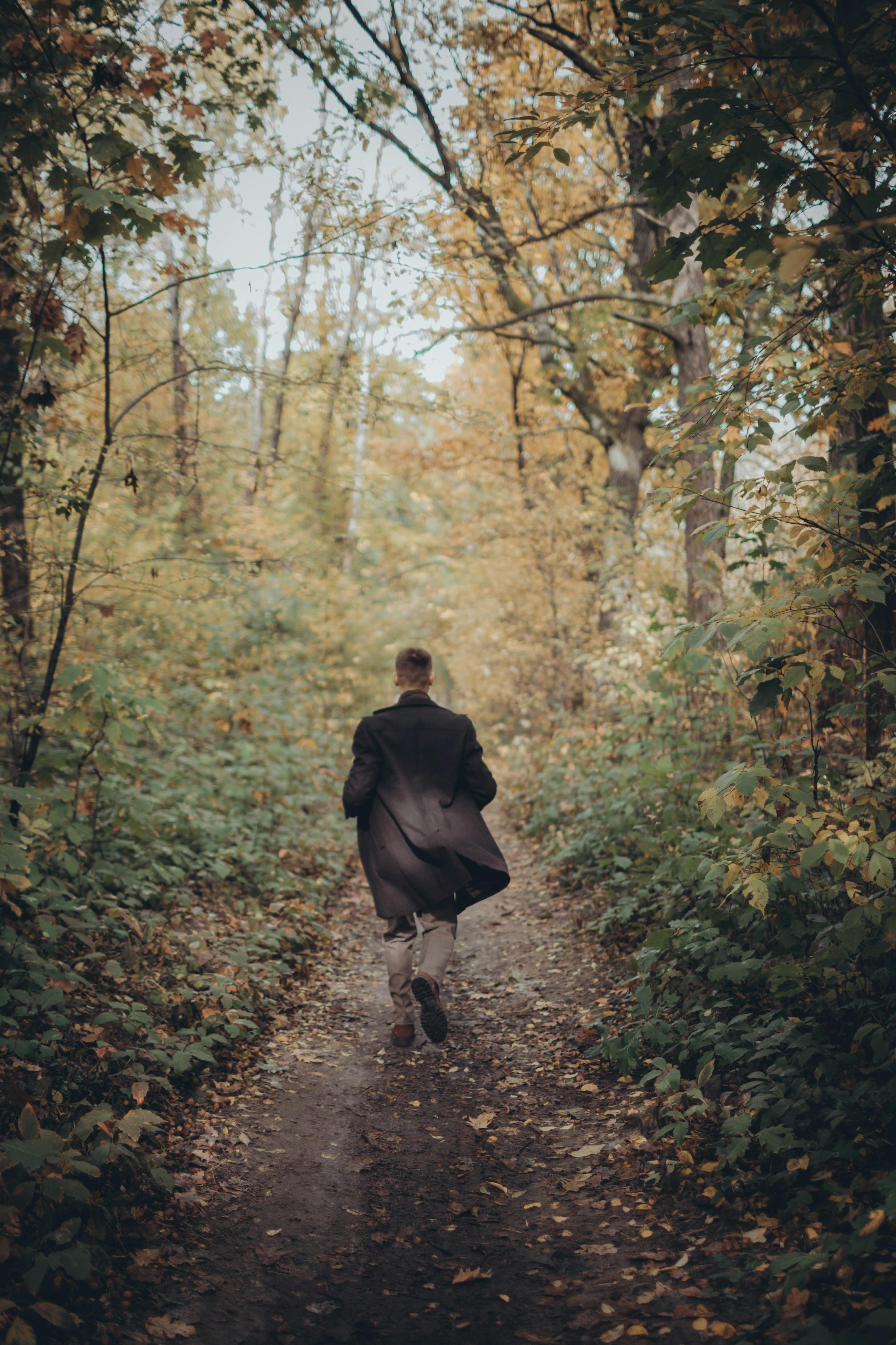 Nature Trail Running Photos, Download The BEST Free Nature Trail ...