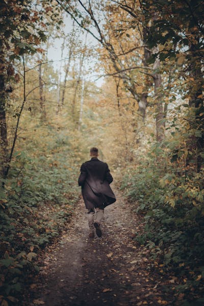 Nature Trail Running Photos, Download The BEST Free Nature Trail ...