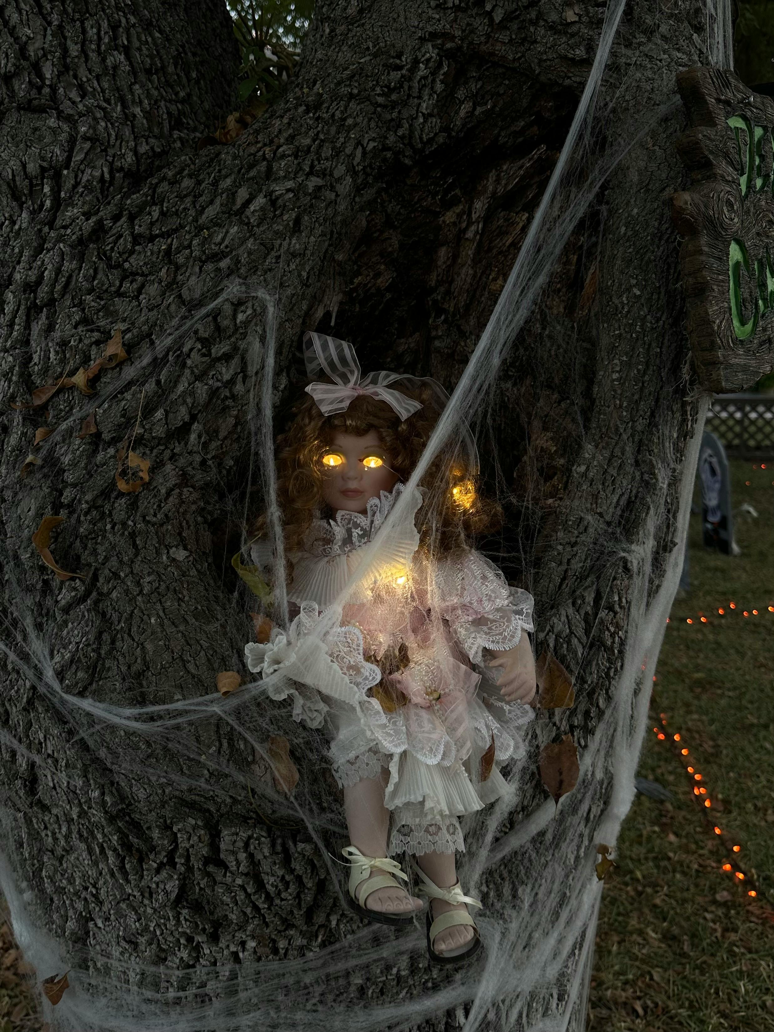 Spooky Doll with Glowing Eyes in Tree for Halloween · Free Stock Photo