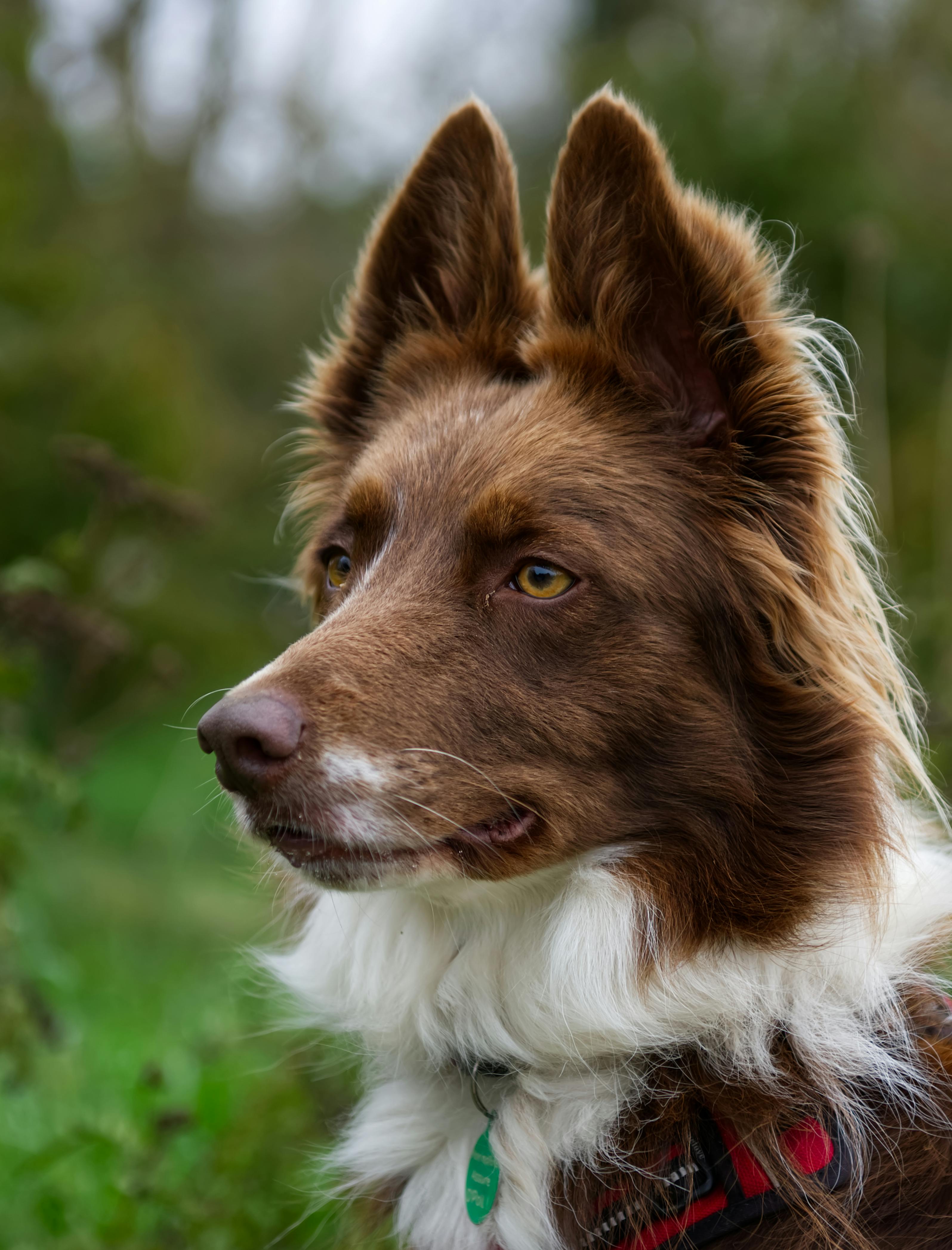 Obiect Intelligent Photos, Download The BEST Free Obiect Intelligent ...