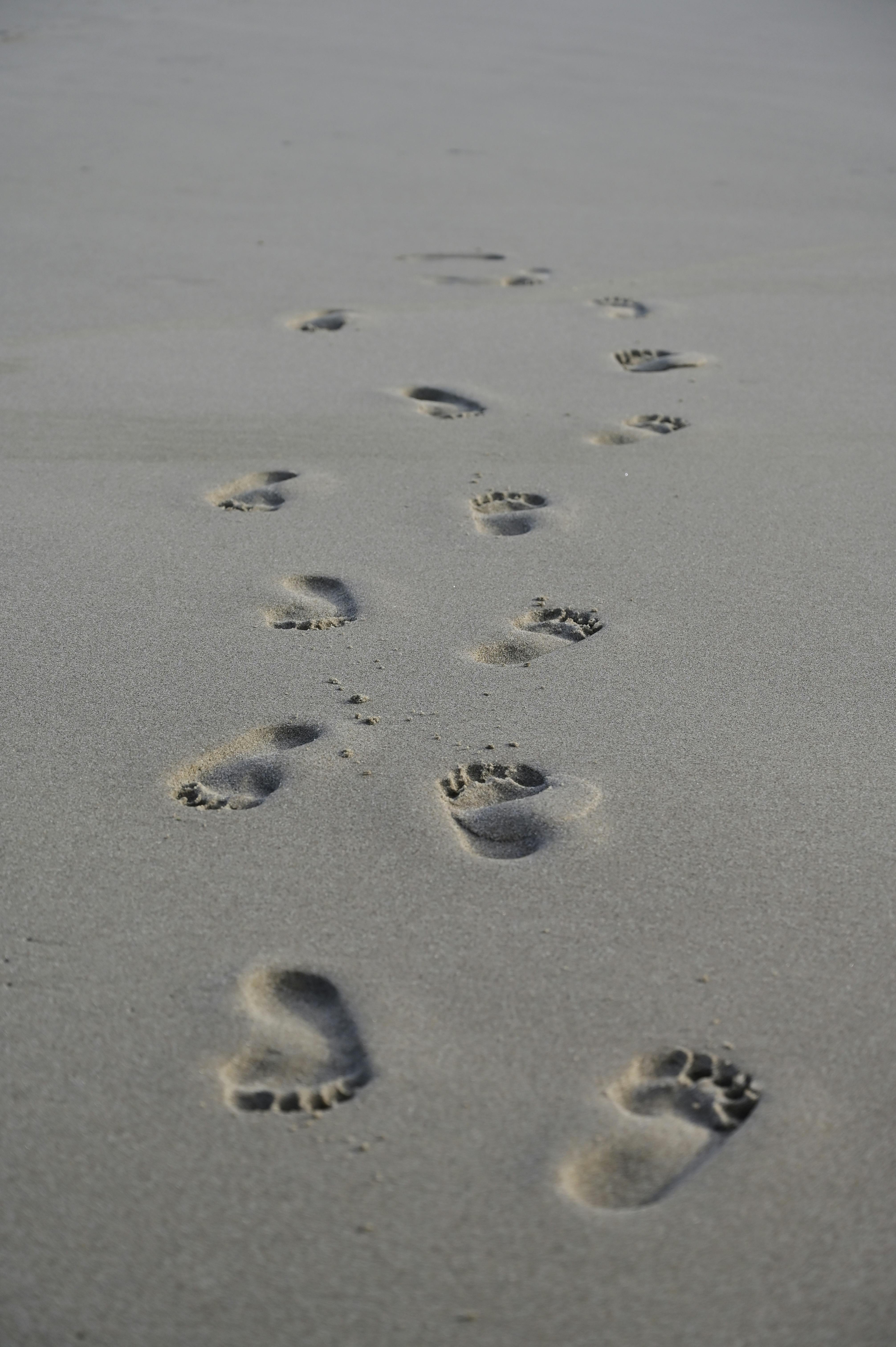 Footprint on Sand · Free Stock Photo