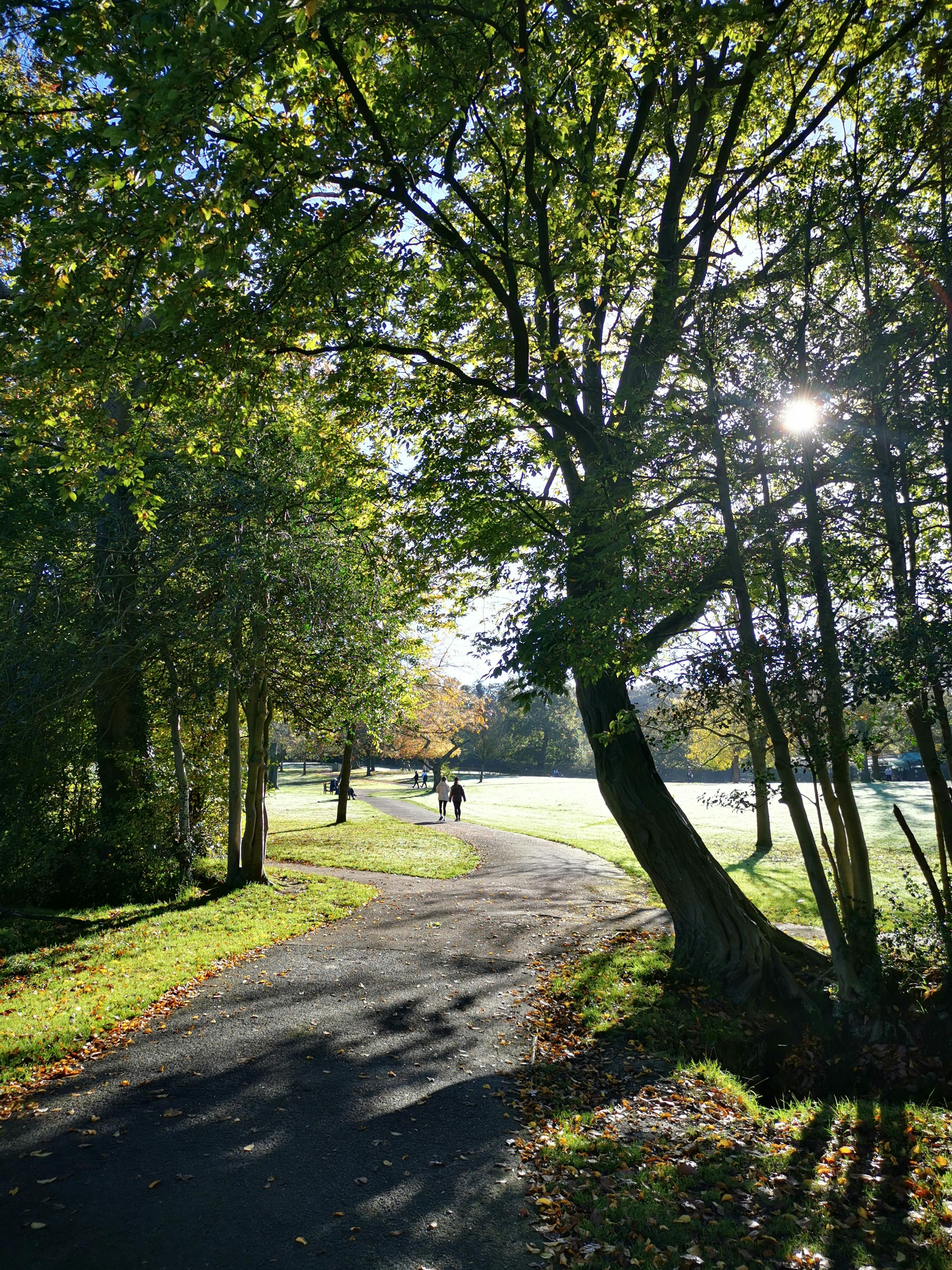 Sunlit Autumn Pathway in London Park · Free Stock Photo