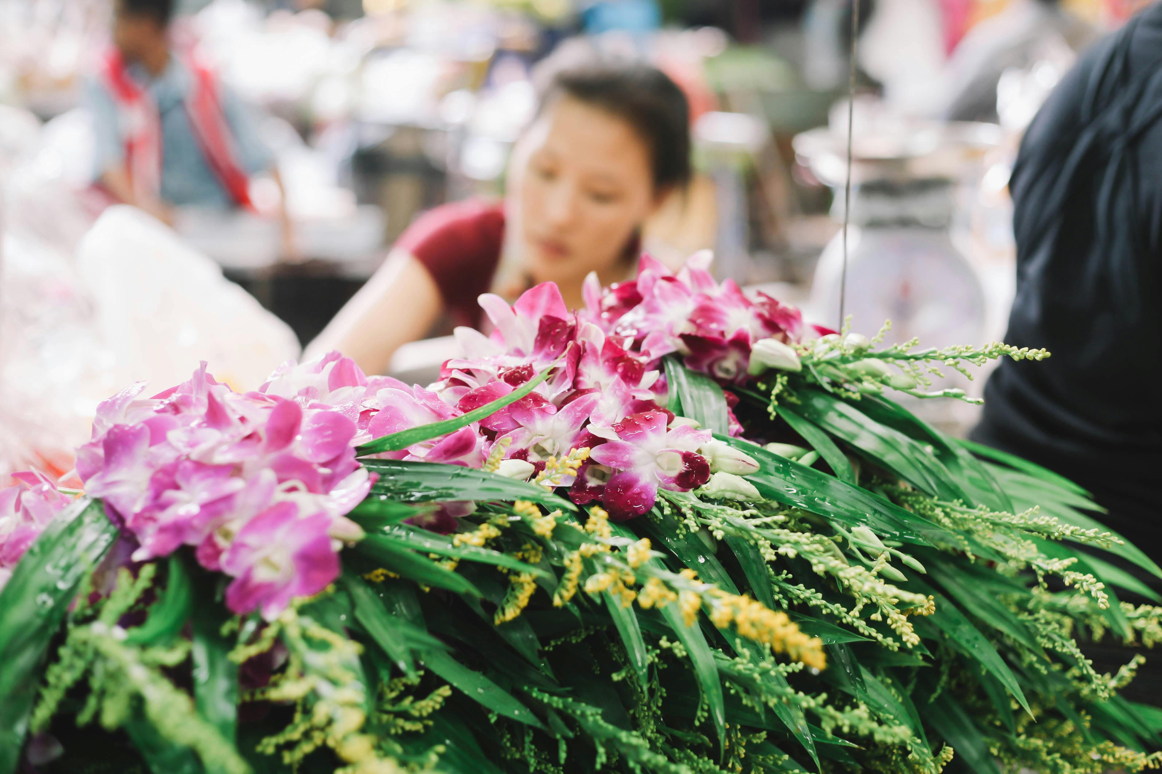Vibrant Orchids at Bangkok Flower Market · Free Stock Photo