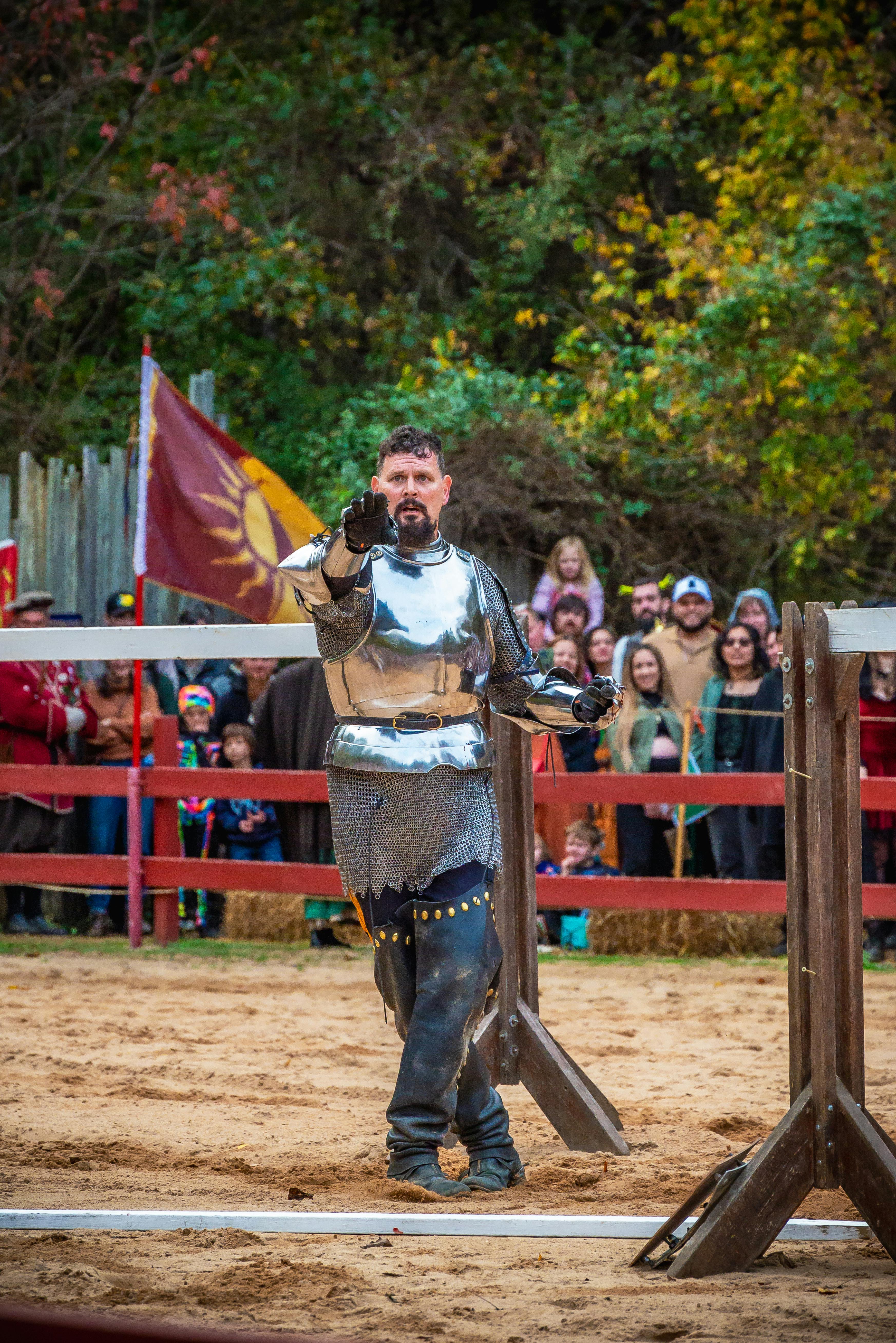 Knight in Shining Armor at Renaissance Fair · Free Stock Photo