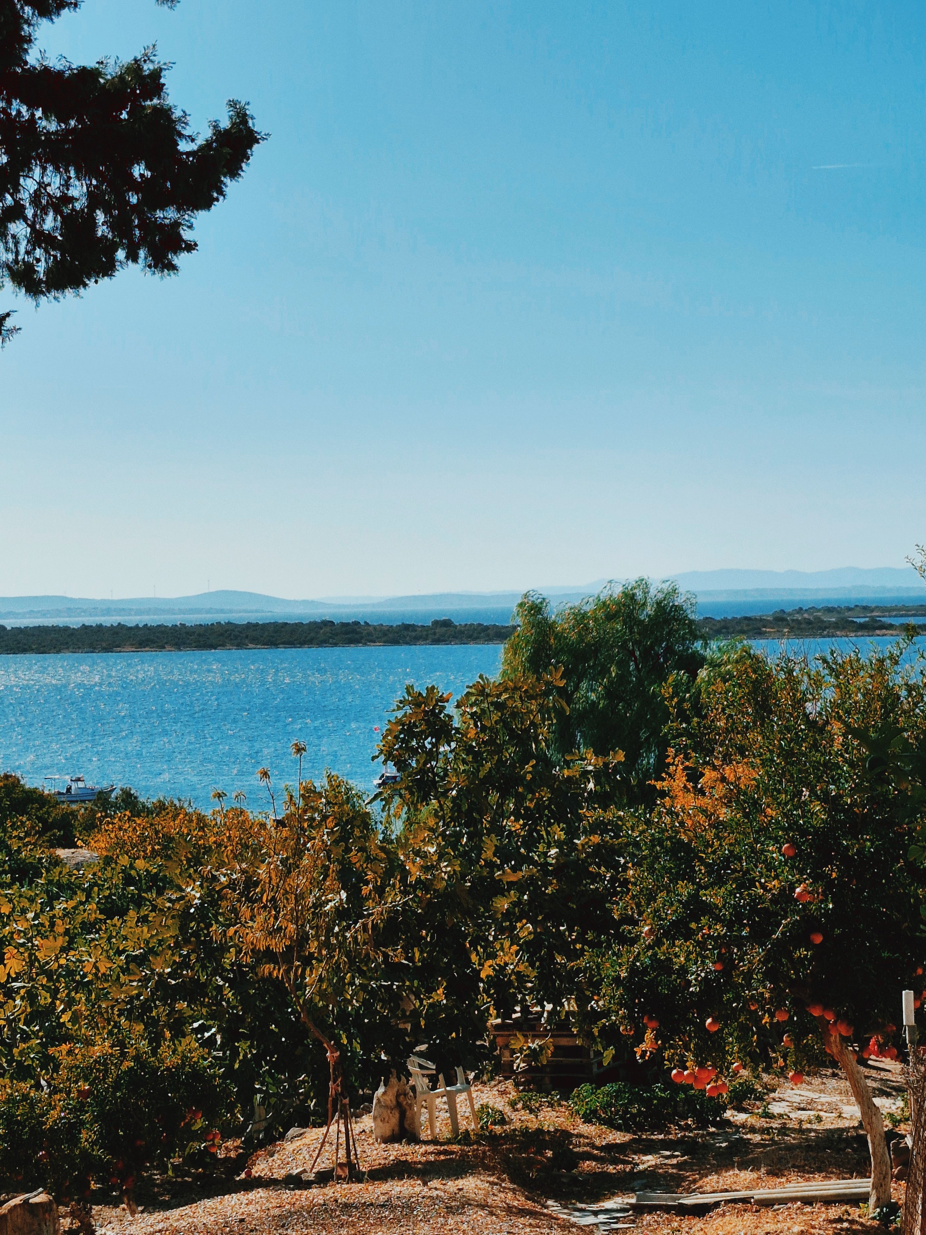 Vista Panorámica Del Lago Con Exuberante Vegetación · Foto de stock ...