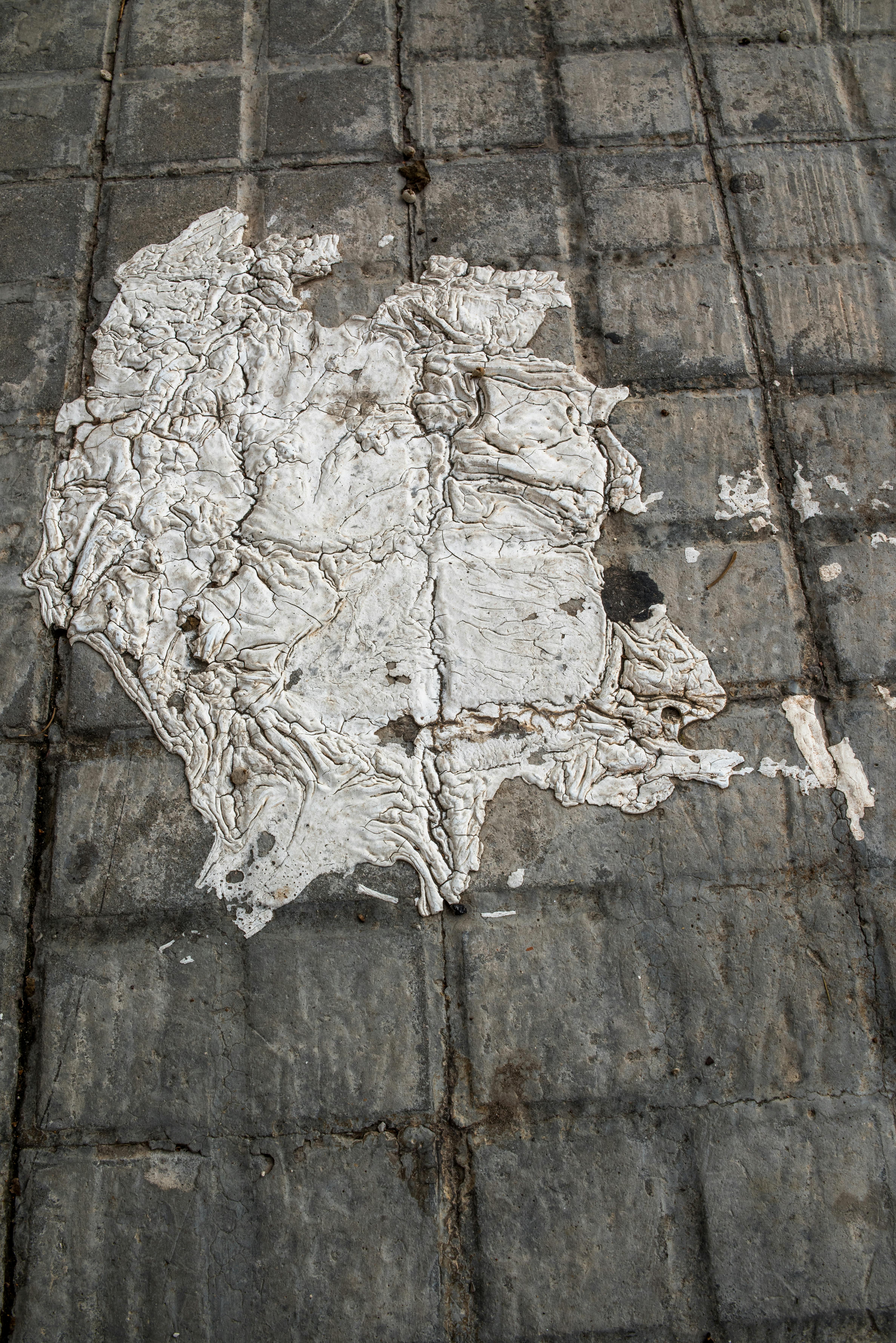 Street Background Texture Photos, Download The BEST Free Street ...