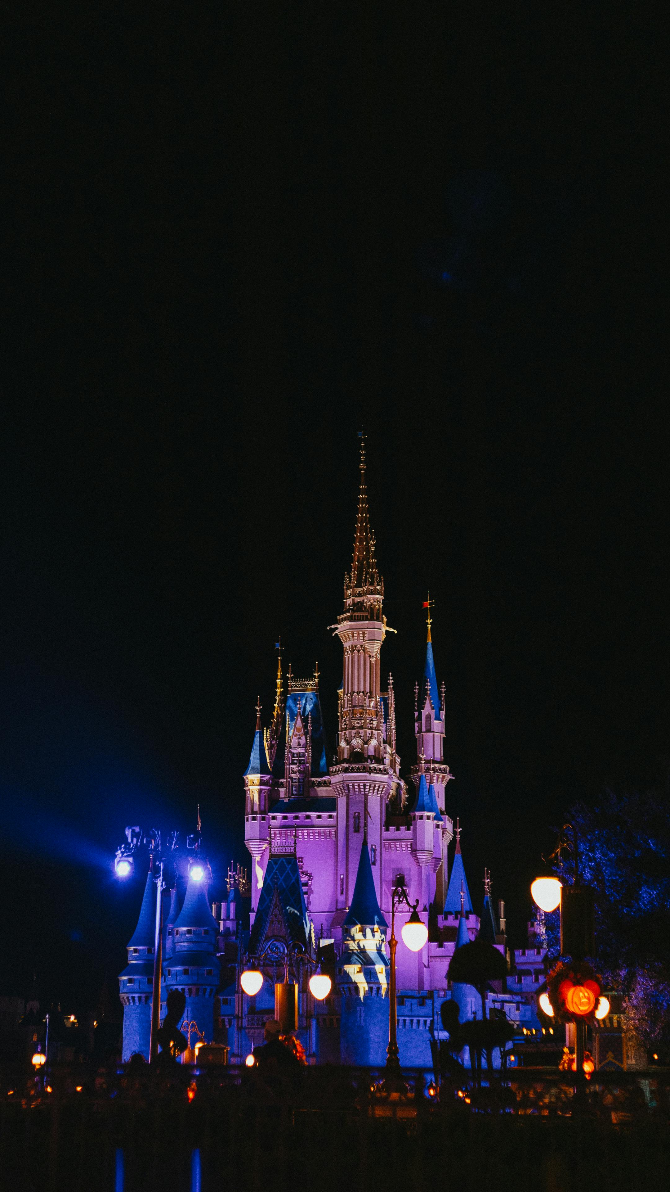 Illuminated Cinderella Castle at Night in Orlando · Free Stock Photo