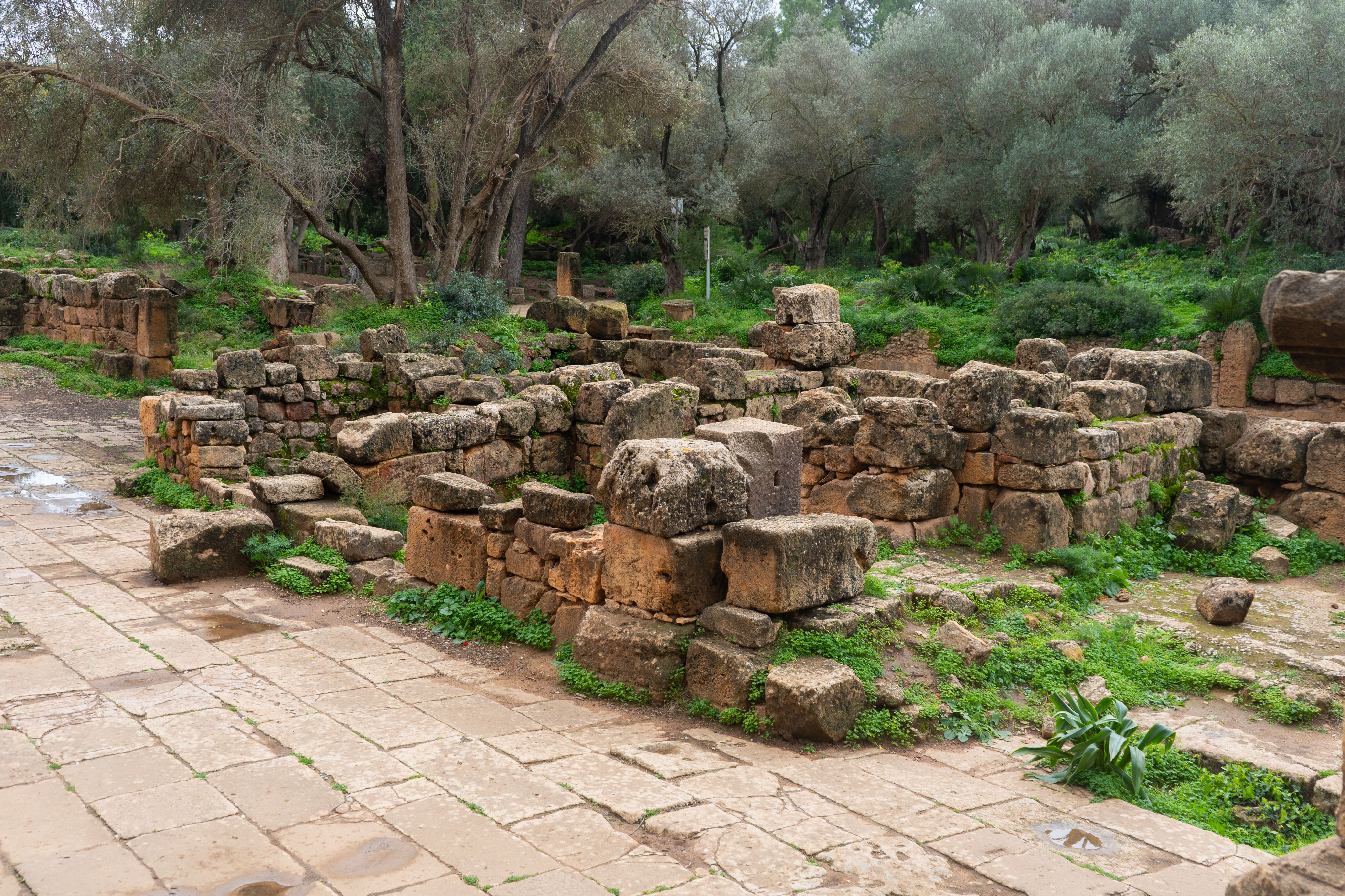 Antiguas Ruinas Romanas En Tipaza, Argelia · Foto de stock gratuita