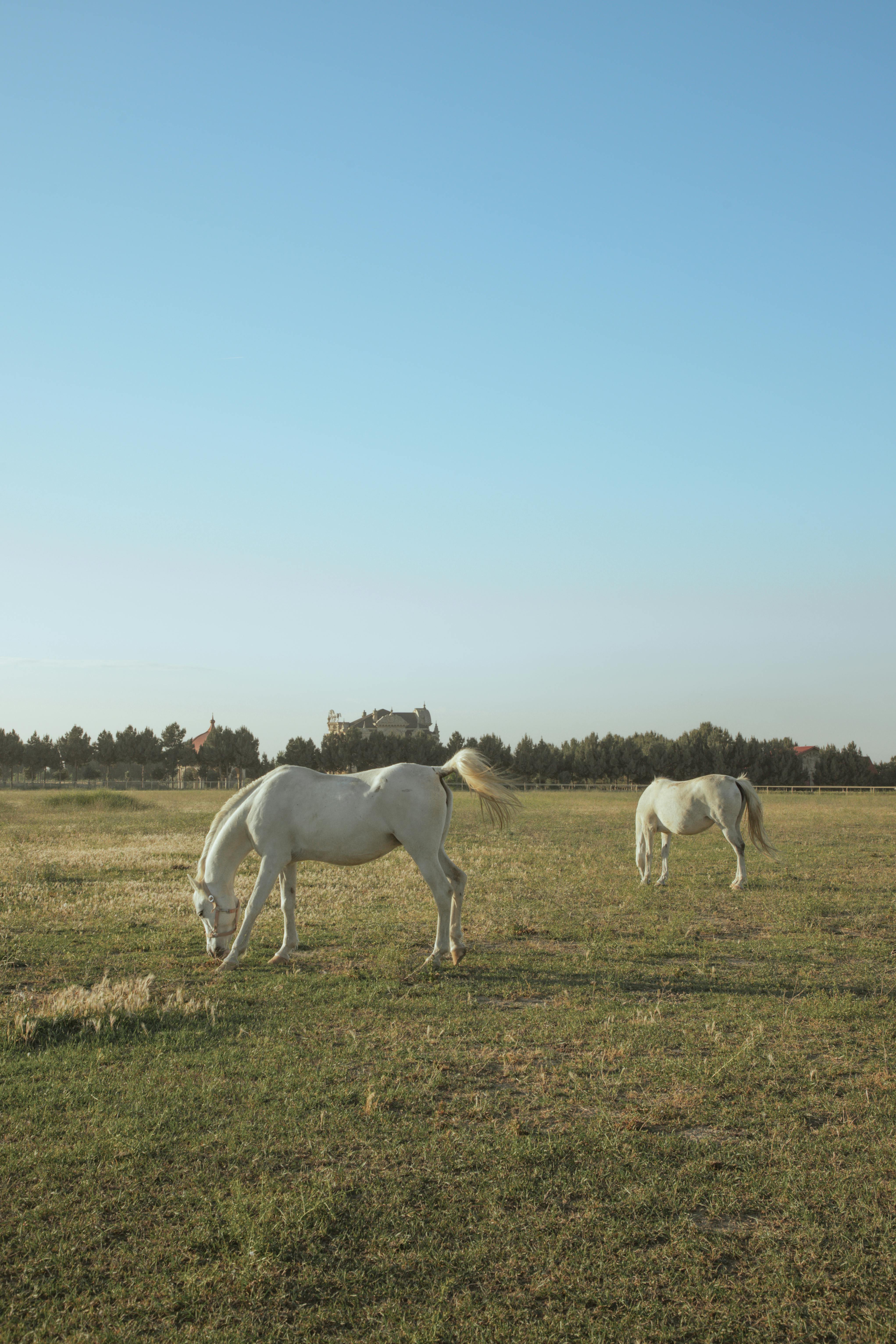 Landscape Landscape Photos, Download The BEST Free Landscape Landscape ...