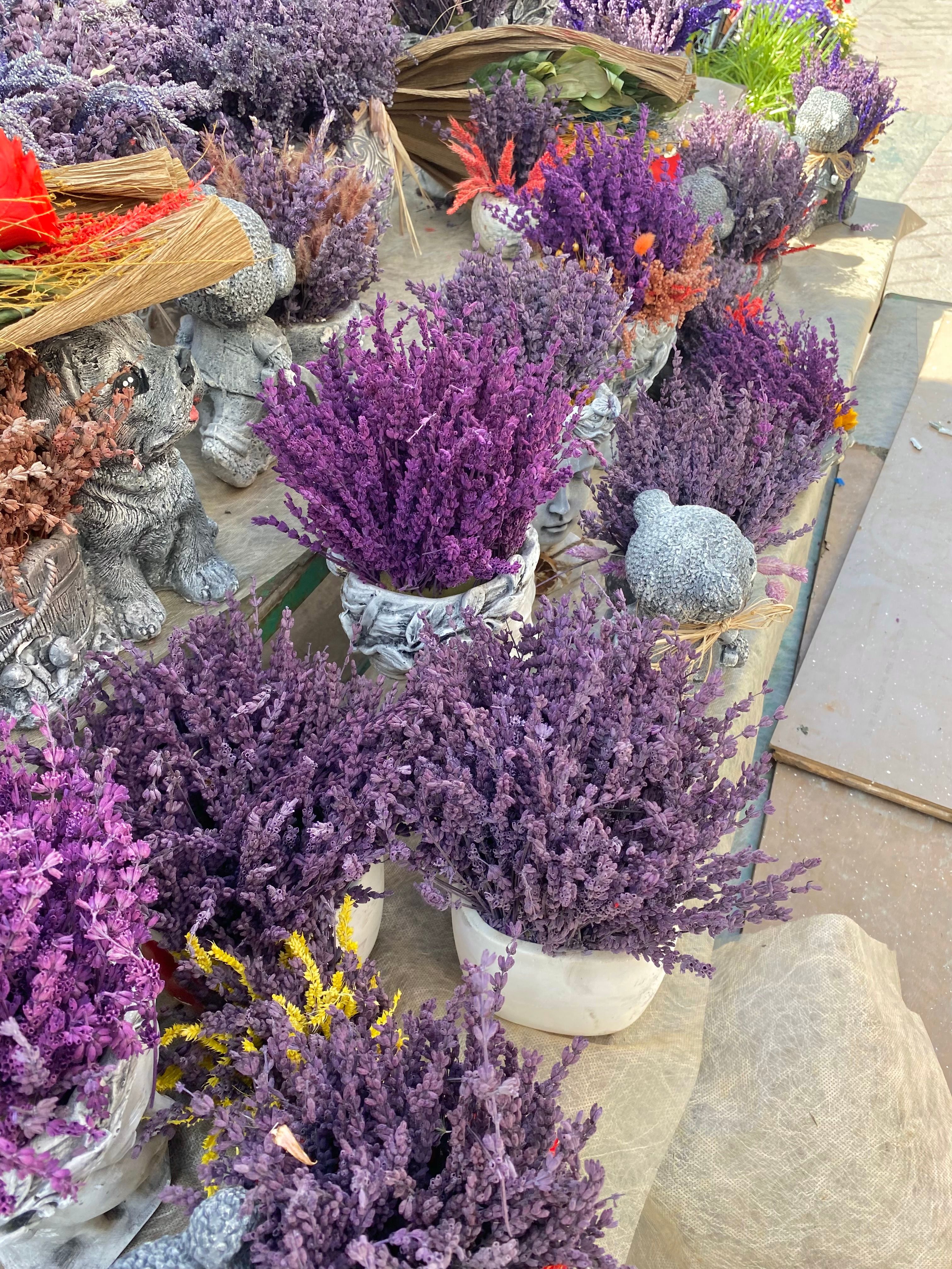 Vibrant Purple Lavender Display on Market Stall · Free Stock Photo