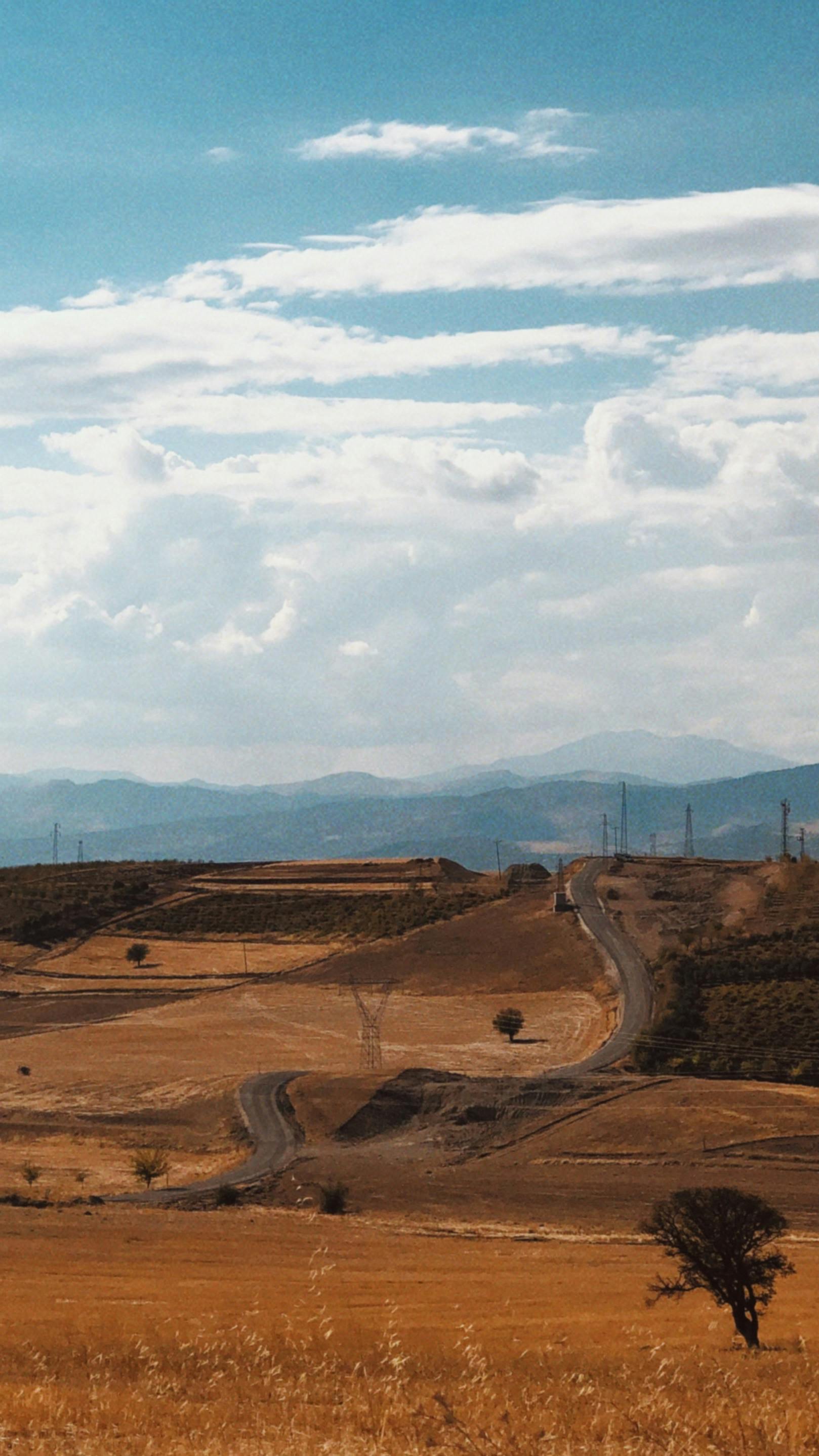 Dirt Road · Free Stock Photo