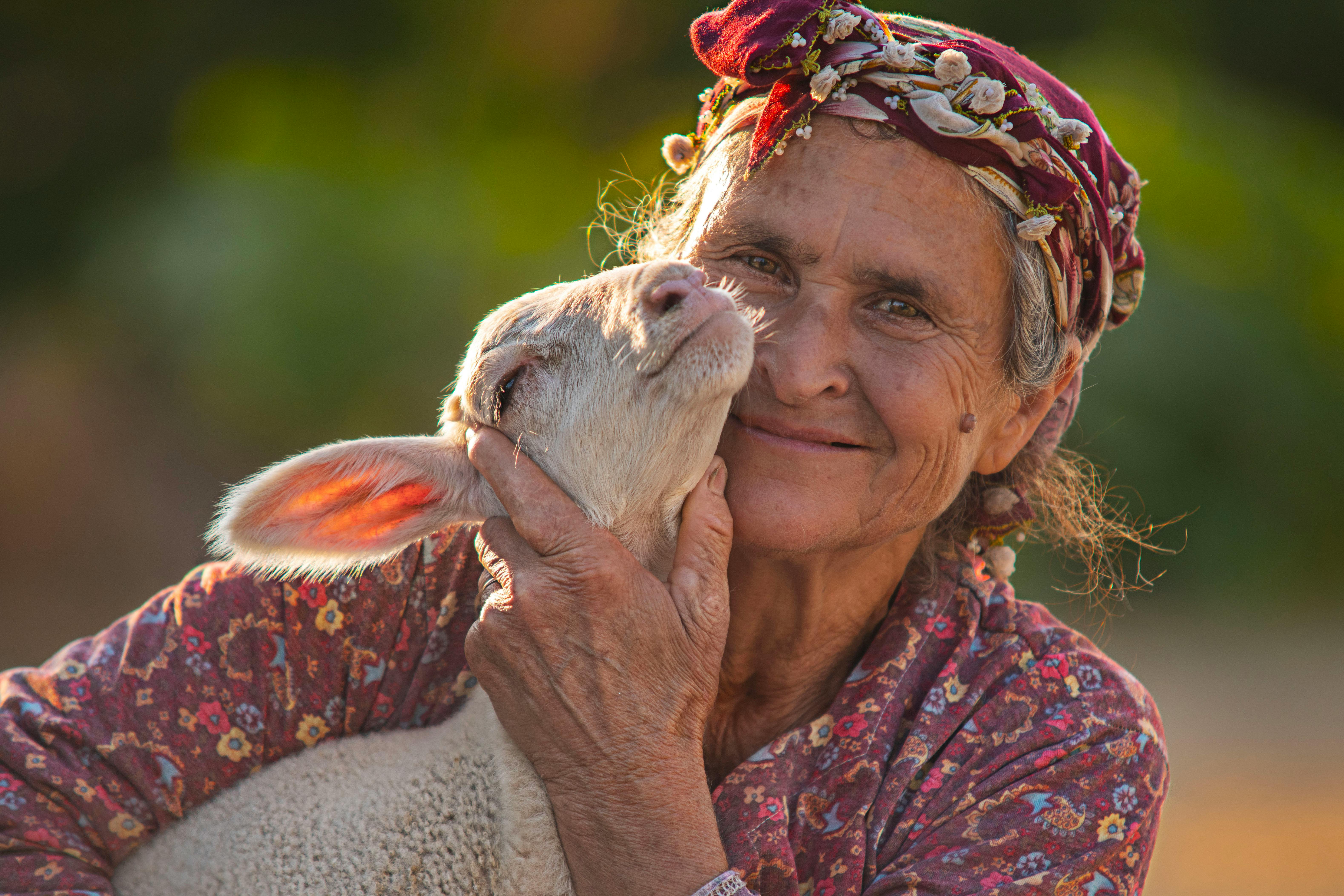 Kuzu+V0+풀버전 Photos, Download The BEST Free Kuzu+V0+풀버전 Stock Photos ...