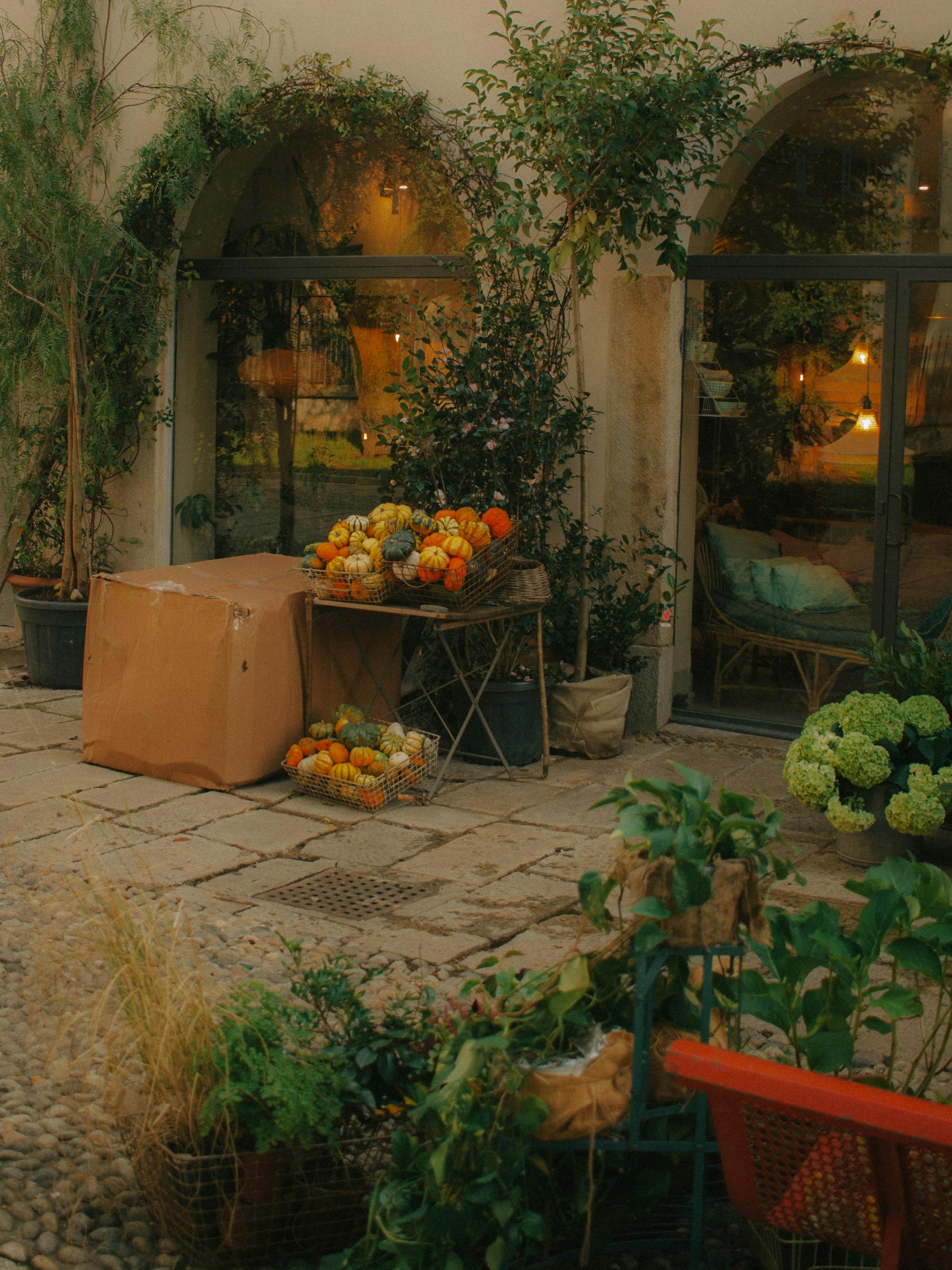 Charming Autumn Courtyard in Milan · Free Stock Photo