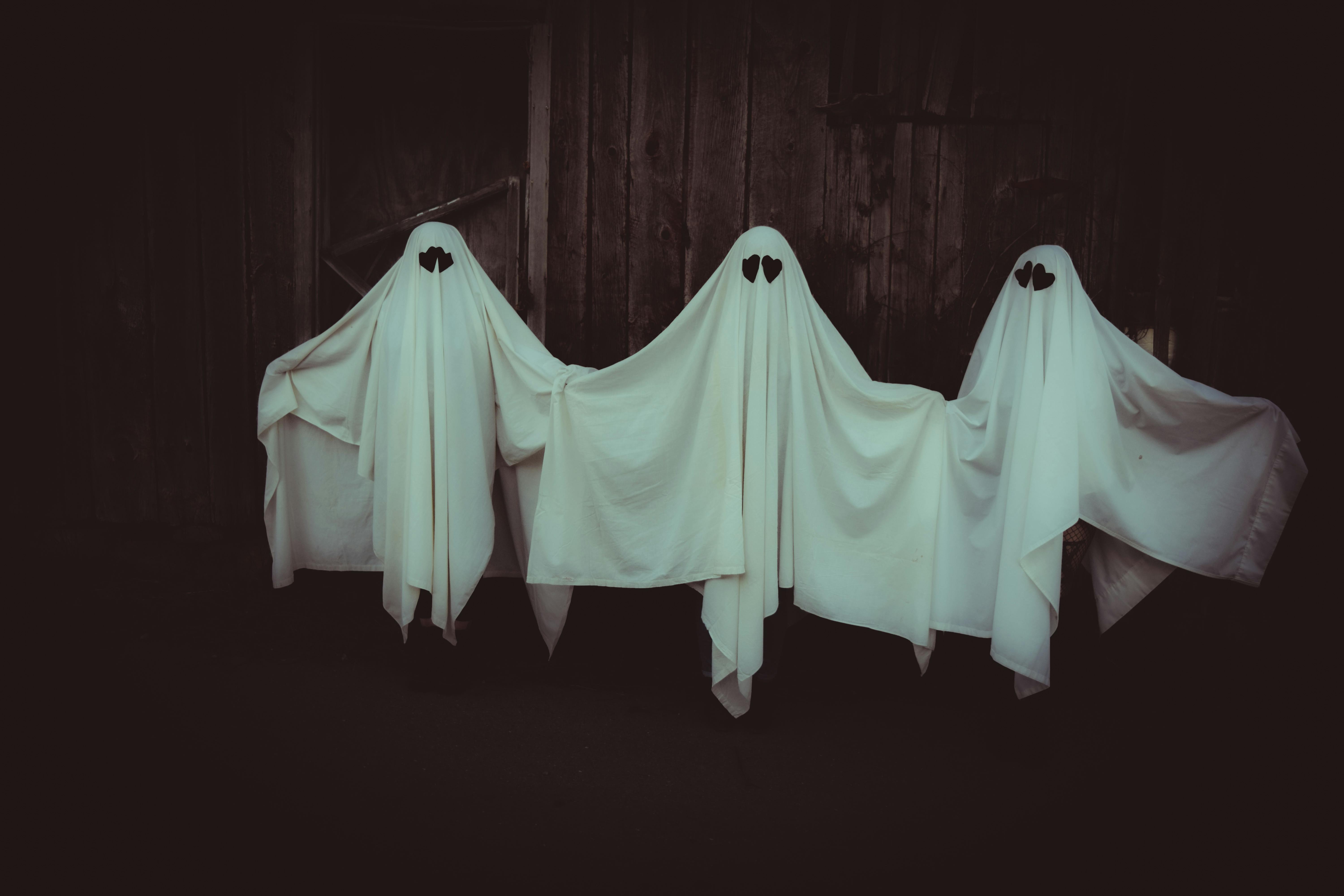 Timm Paranormal Photos, Download The BEST Free Timm Paranormal Stock ...