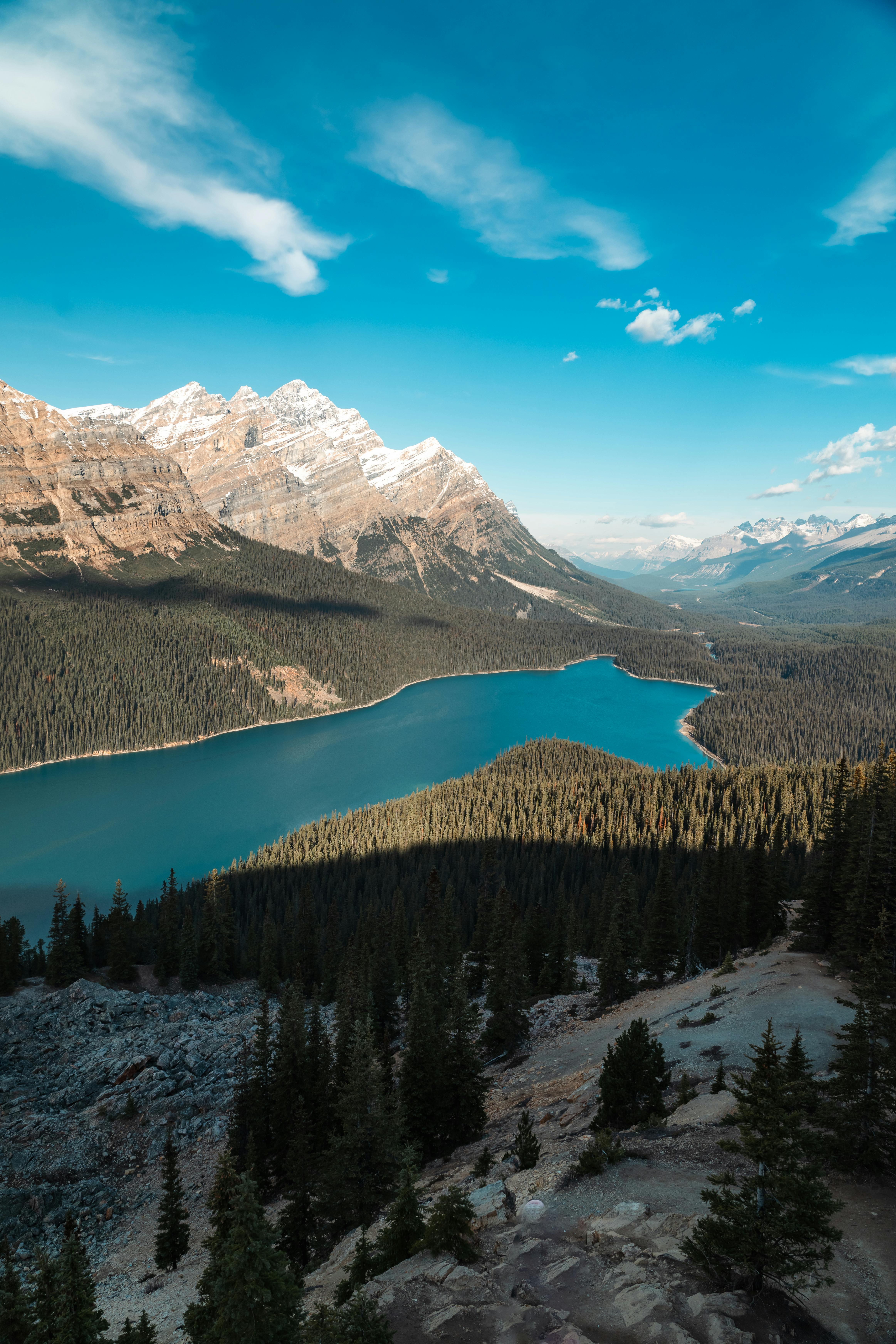 Kuman Peyto Photos, Download The BEST Free Kuman Peyto Stock Photos ...