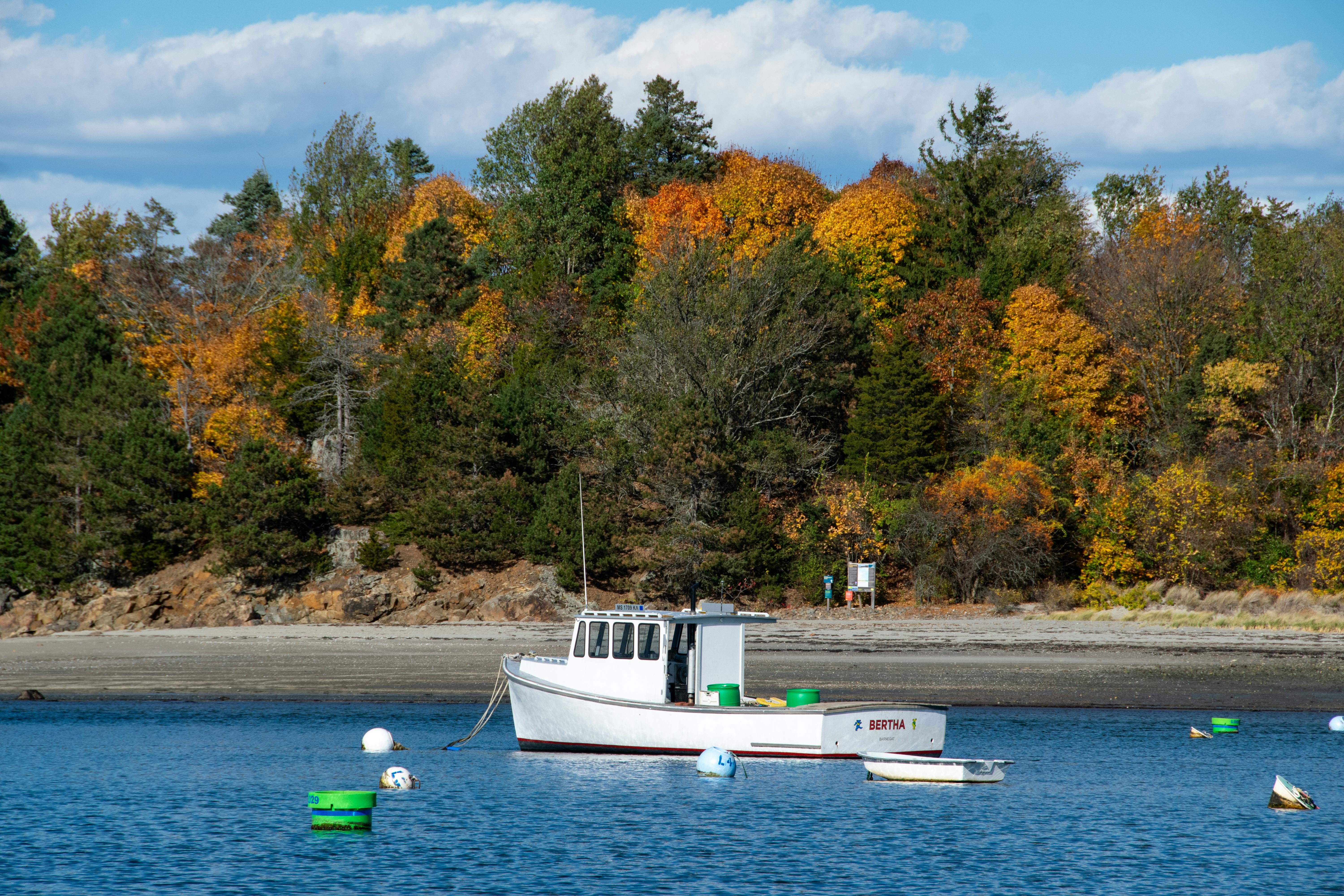 Autumn Waterfront Scene in Marblehead Harbor · Free Stock Photo