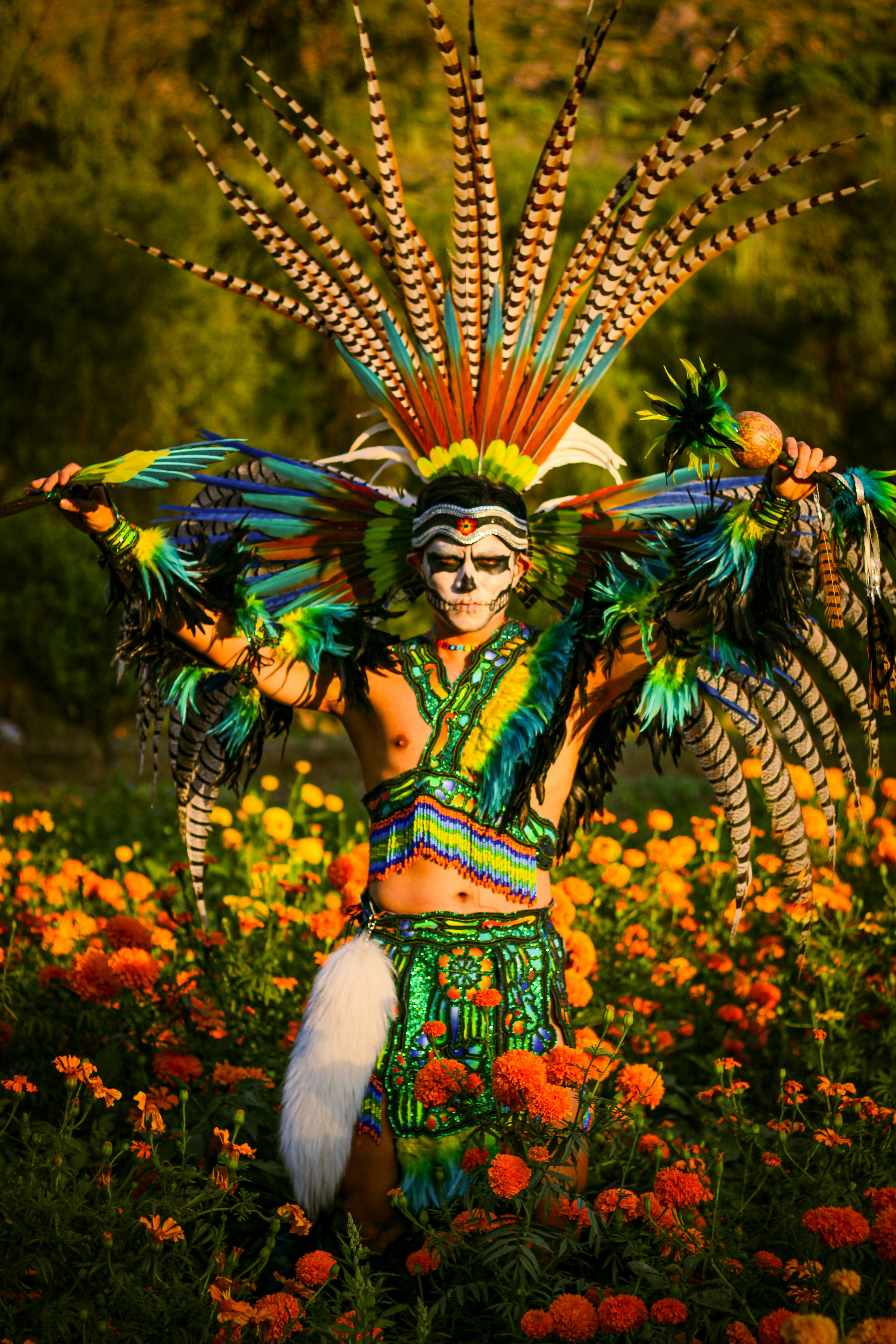 Vibrant Aztec Costume in Marigold Field · Free Stock Photo
