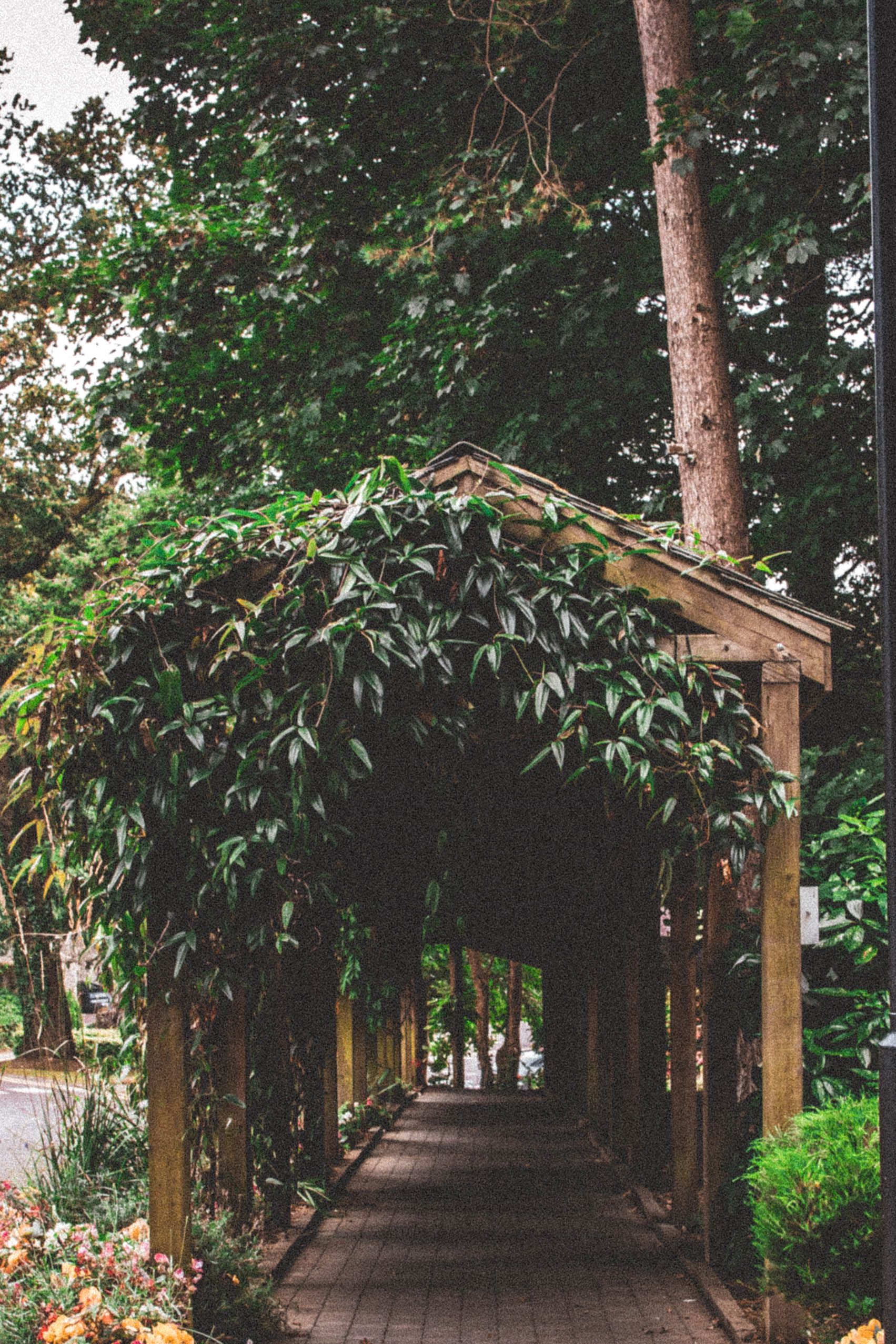 Rustic Garden Pathway in Cork, Ireland · Free Stock Photo