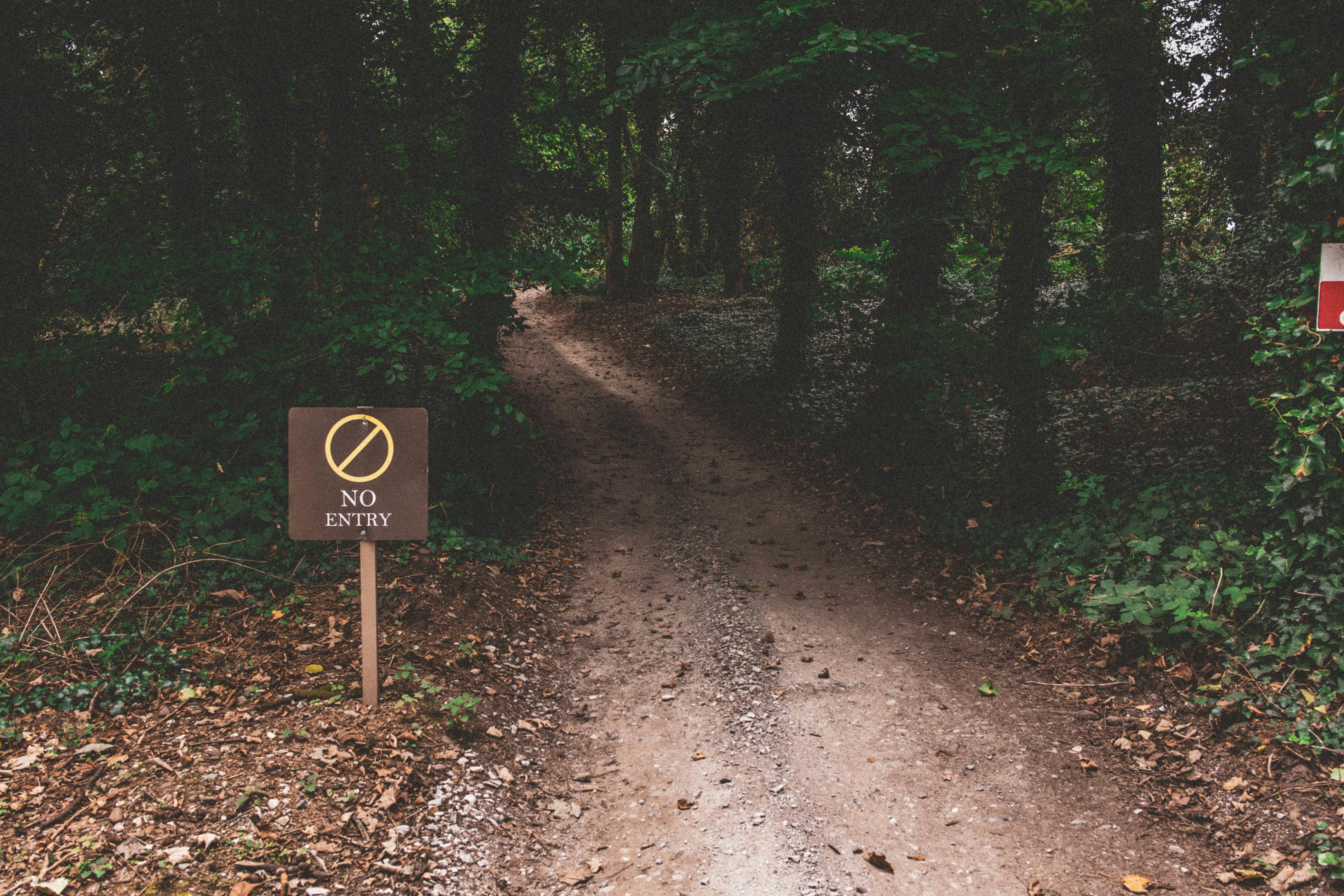 Mysterious Forest Path with No Entry Sign · Free Stock Photo