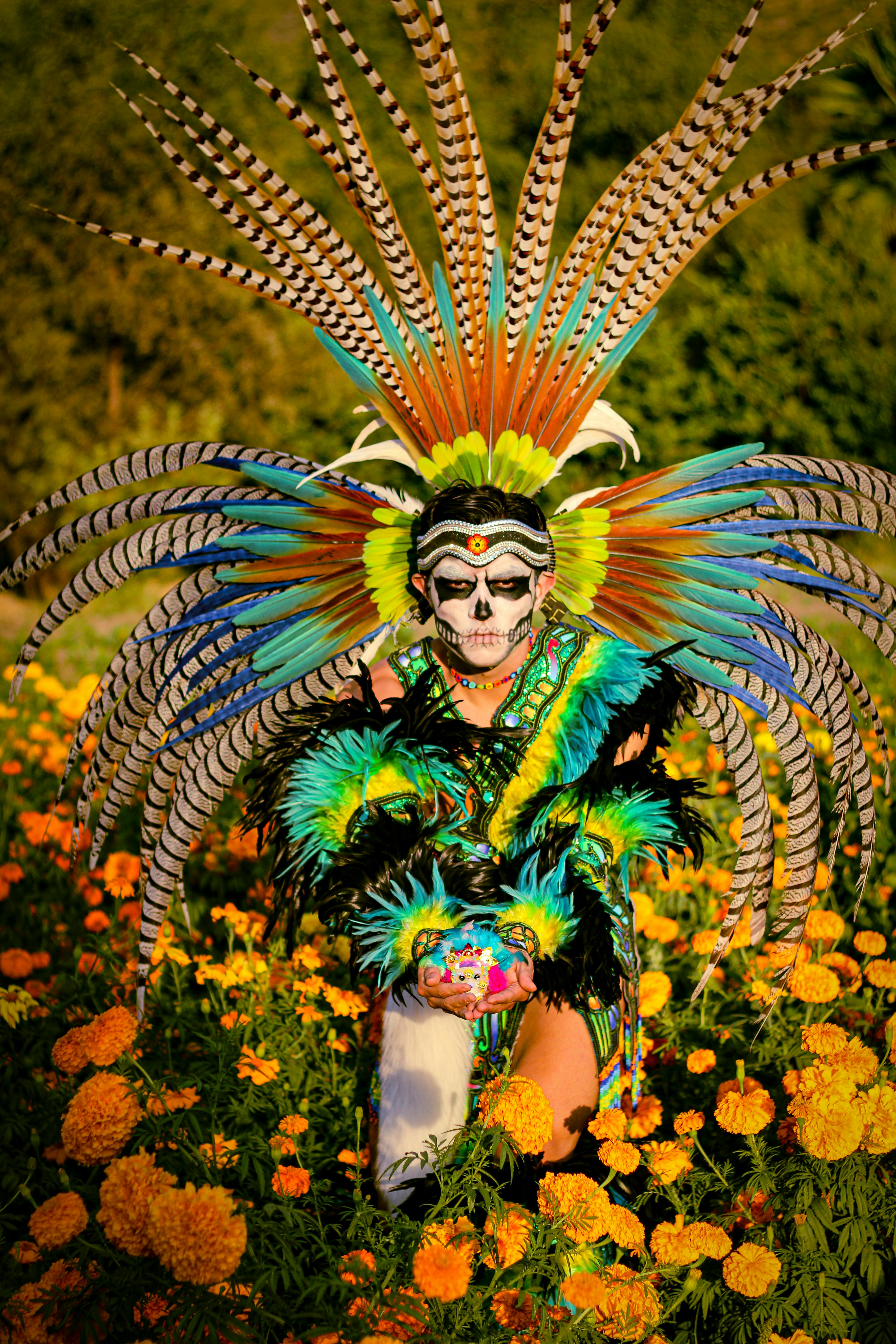 Native Dancer Photos, Download The BEST Free Native Dancer Stock Photos & HD Images