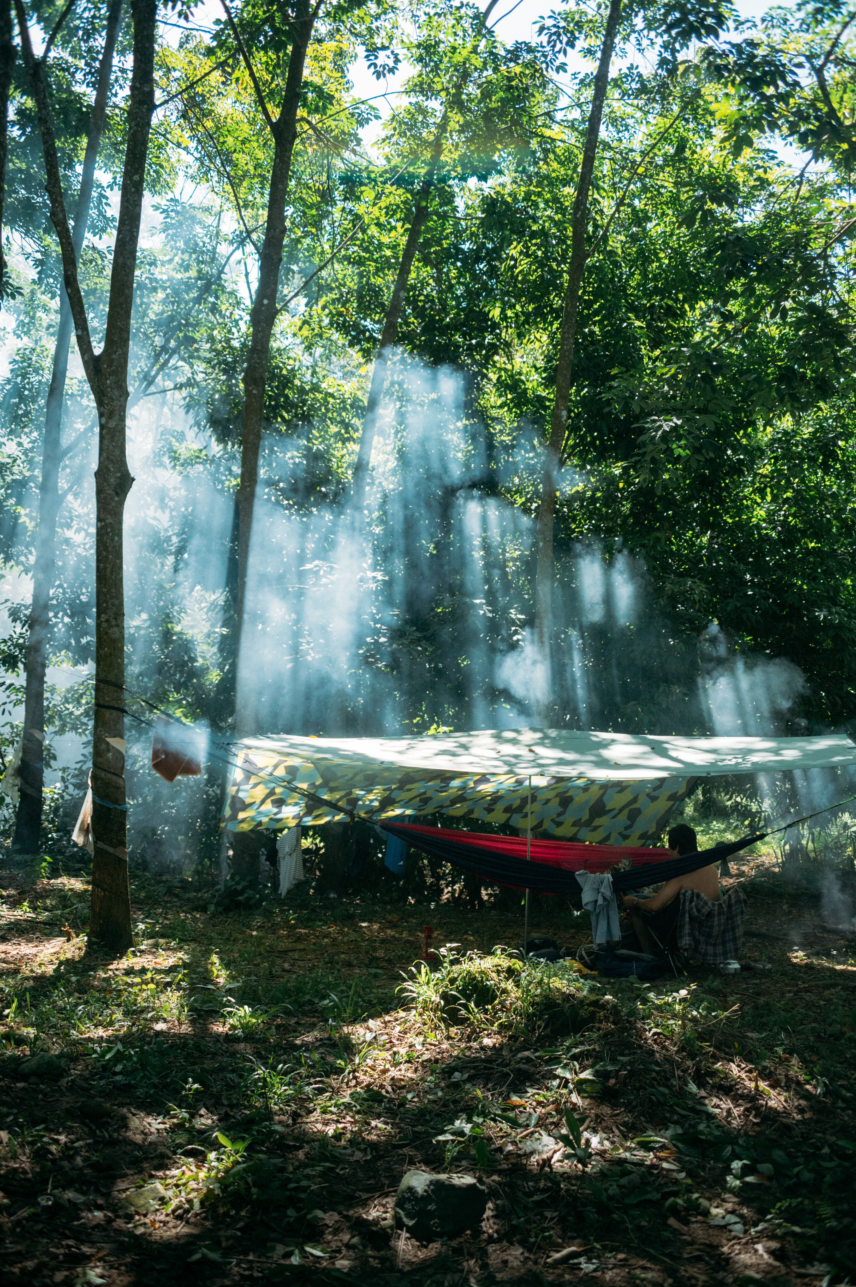 Sunlit Forest Tent Camping Under Green Canopy · Free Stock Photo