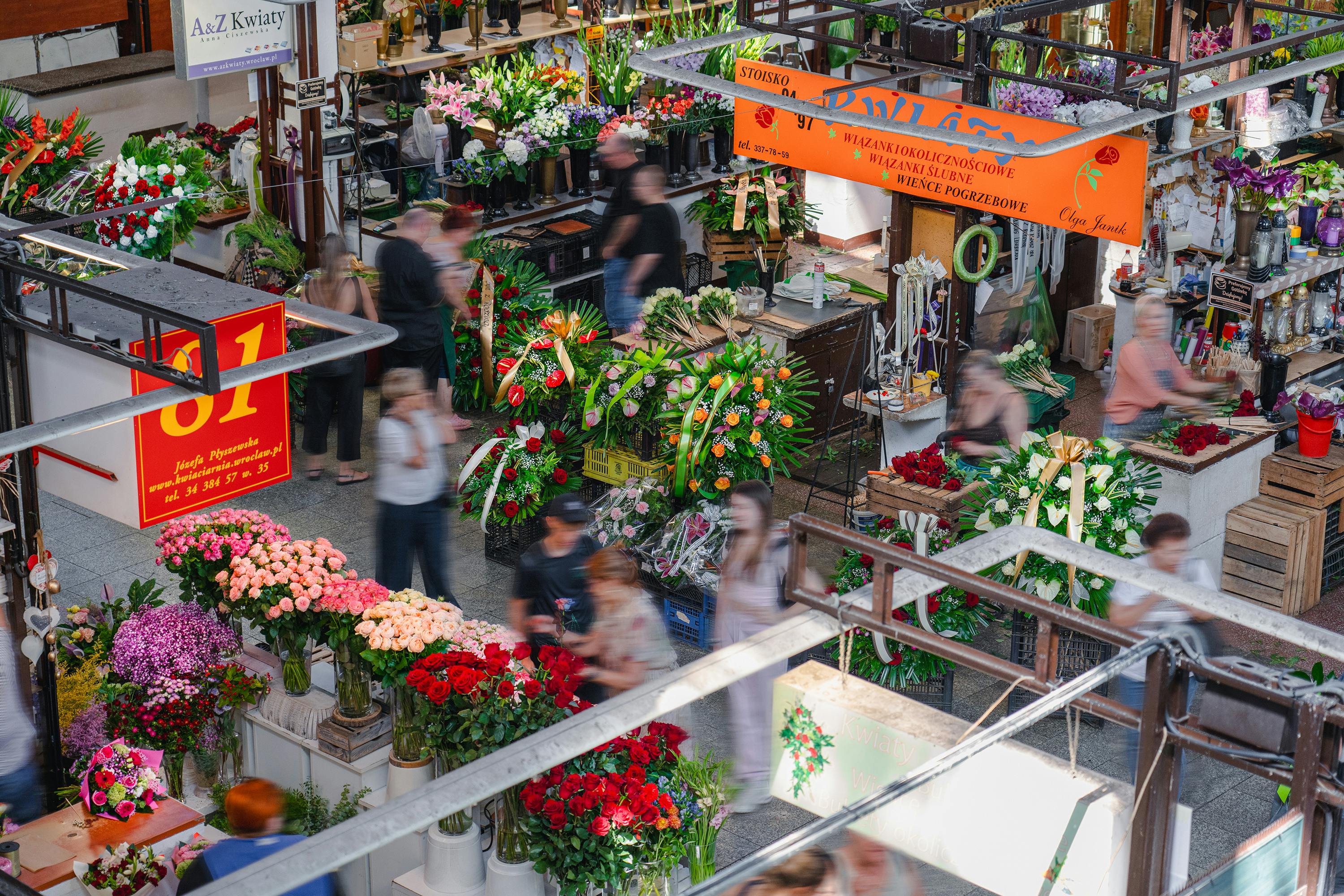 Busy Wrocław Flower Market with Vibrant Bouquets · Free Stock Photo