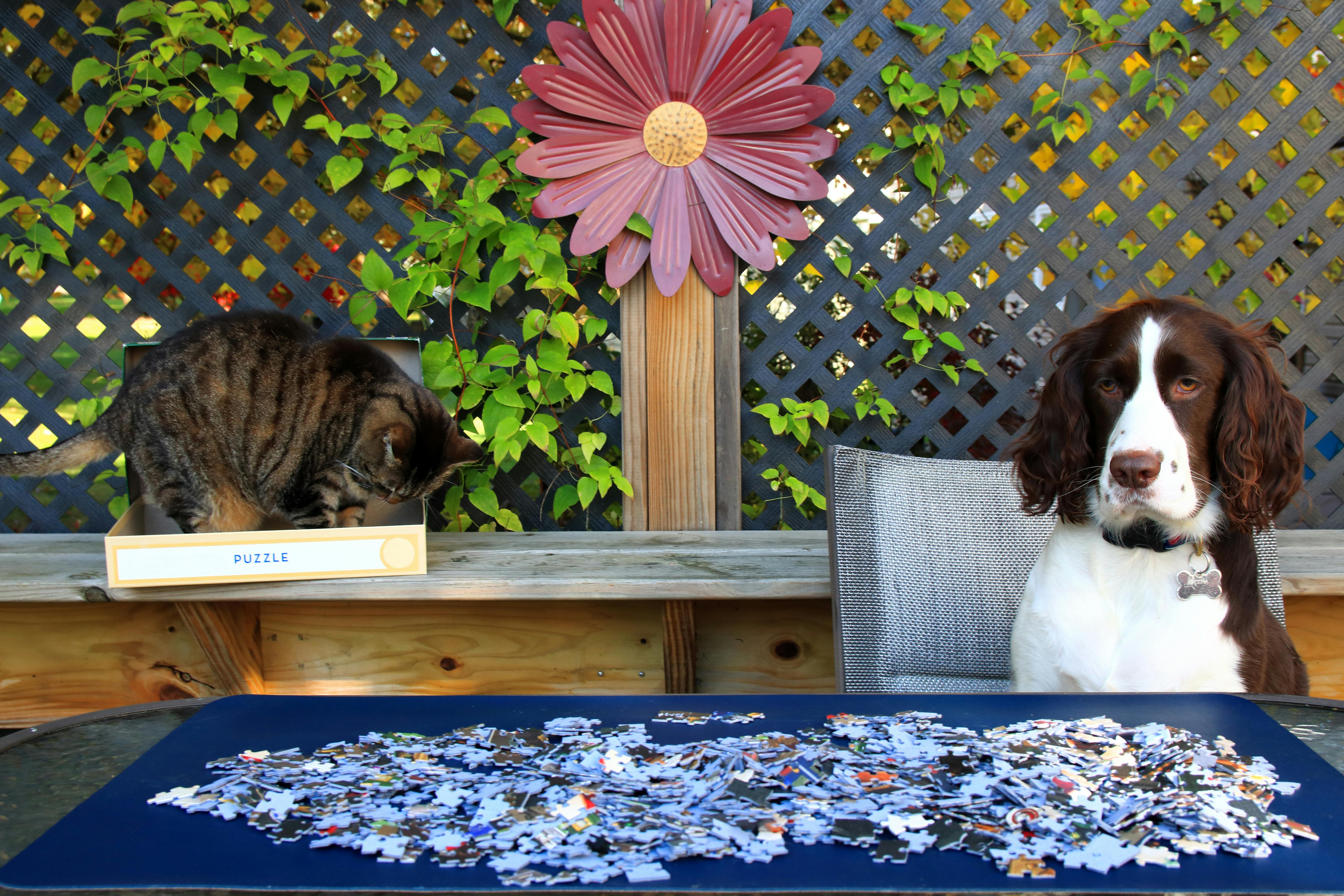 Analyse Laboratorium Photos, Download The BEST Free Analyse ...