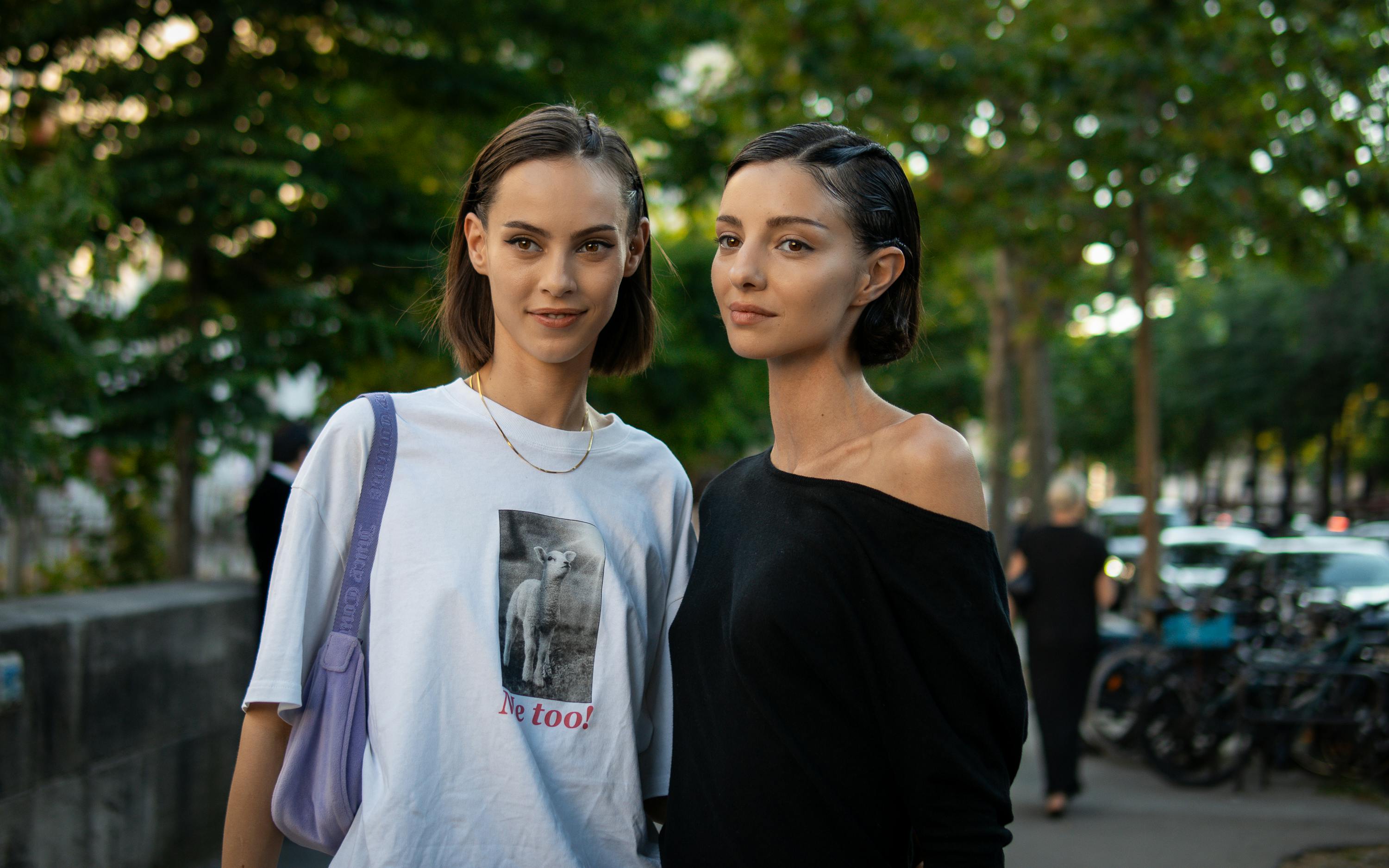 True Bred Photos, Download The BEST Free True Bred Stock Photos & HD Images