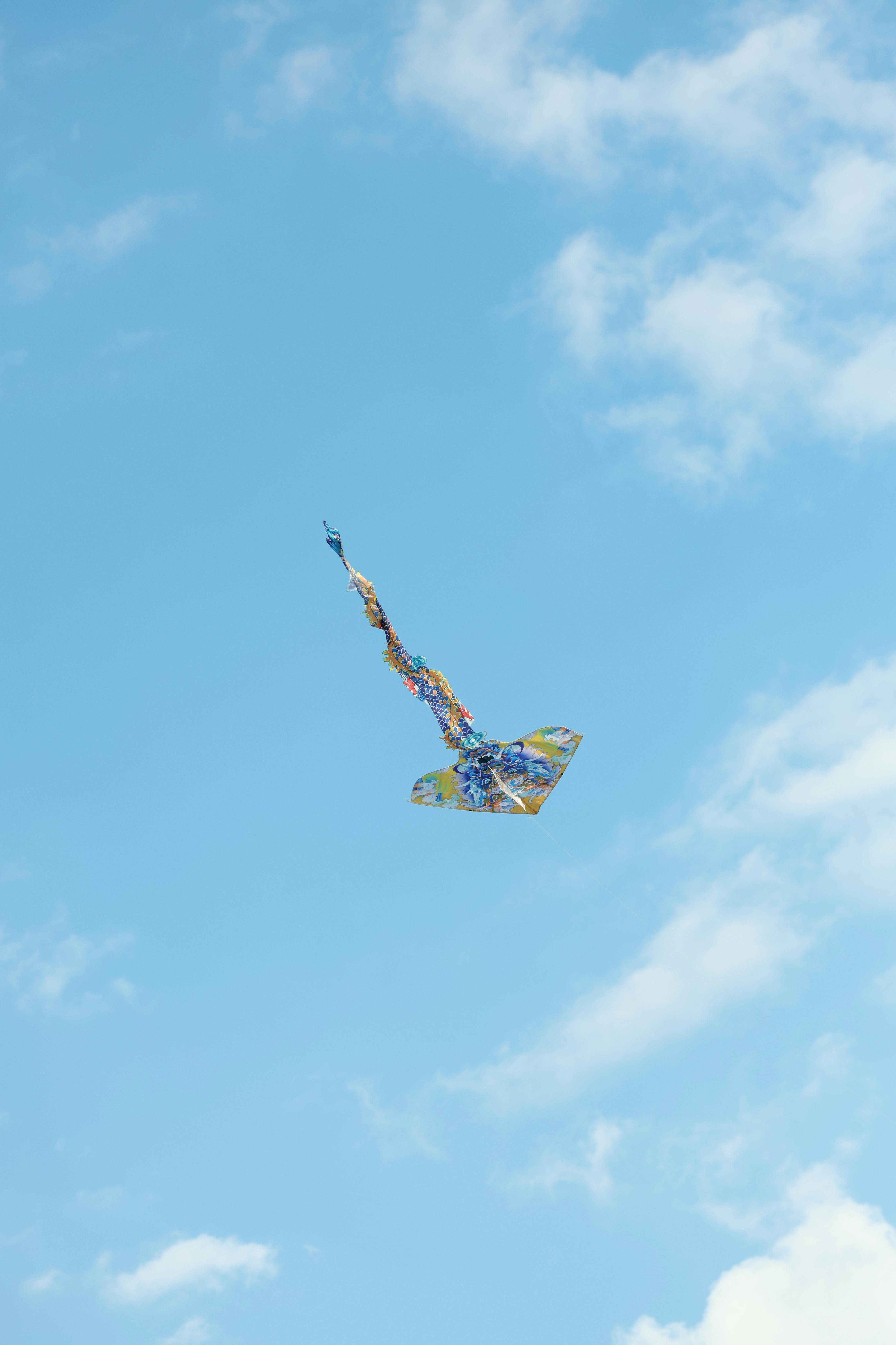 Assorted-color Kites · Free Stock Photo