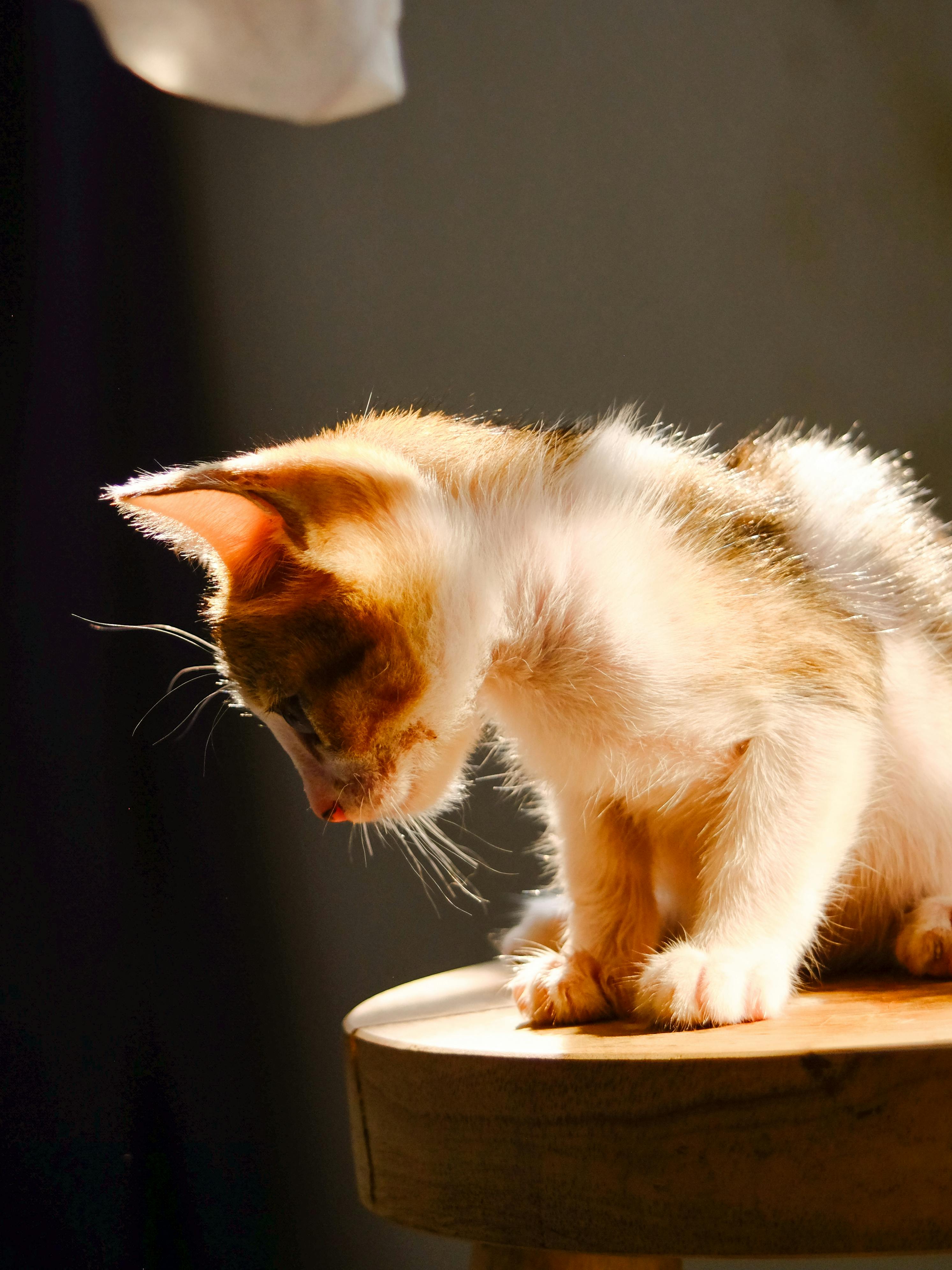 List Of Countries By Gdp Paw Photos, Download The BEST Free List Of ...