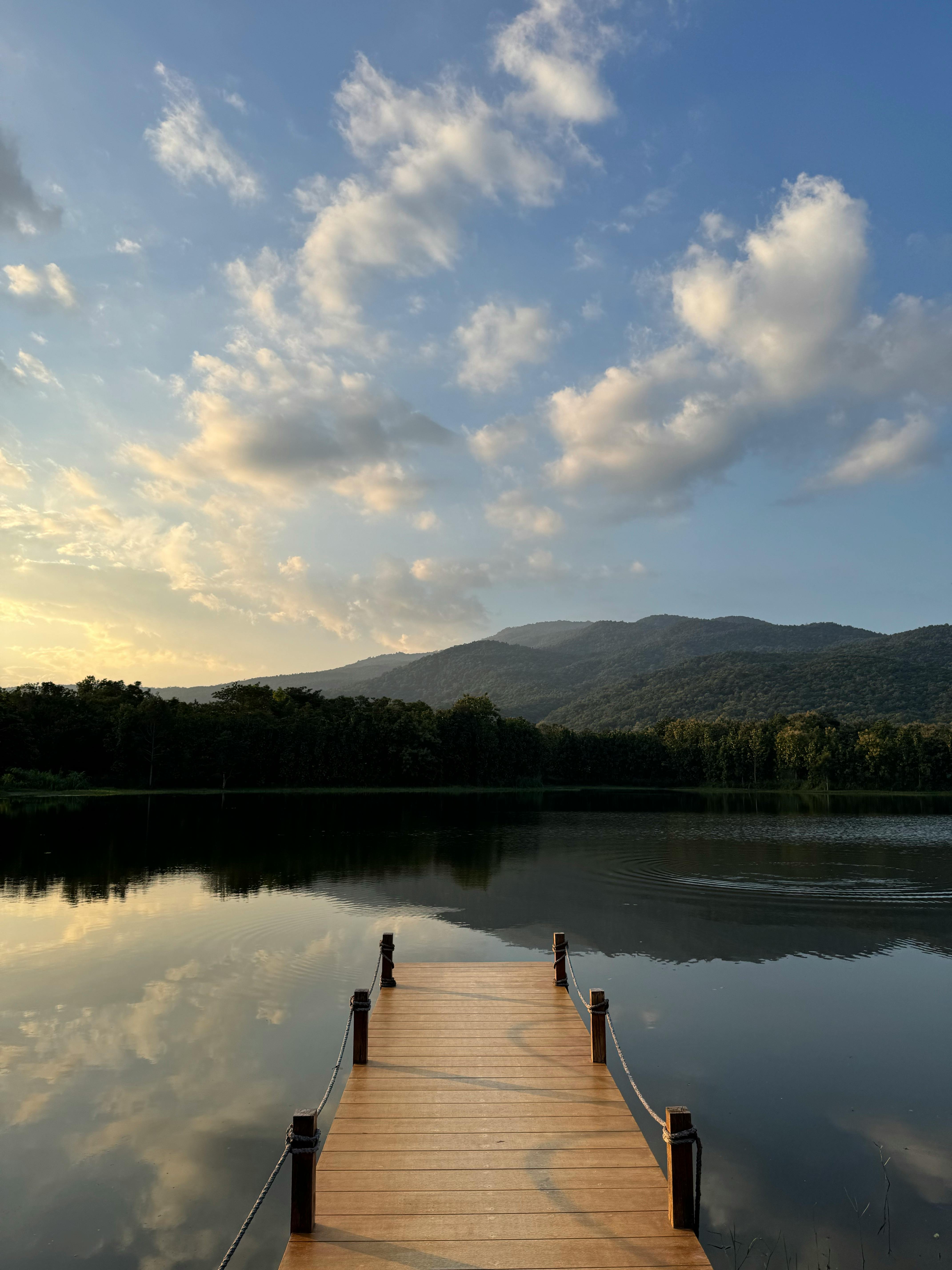 Scenic Dock Overlooking Chiang Mai Lake at Sunset · Free Stock Photo