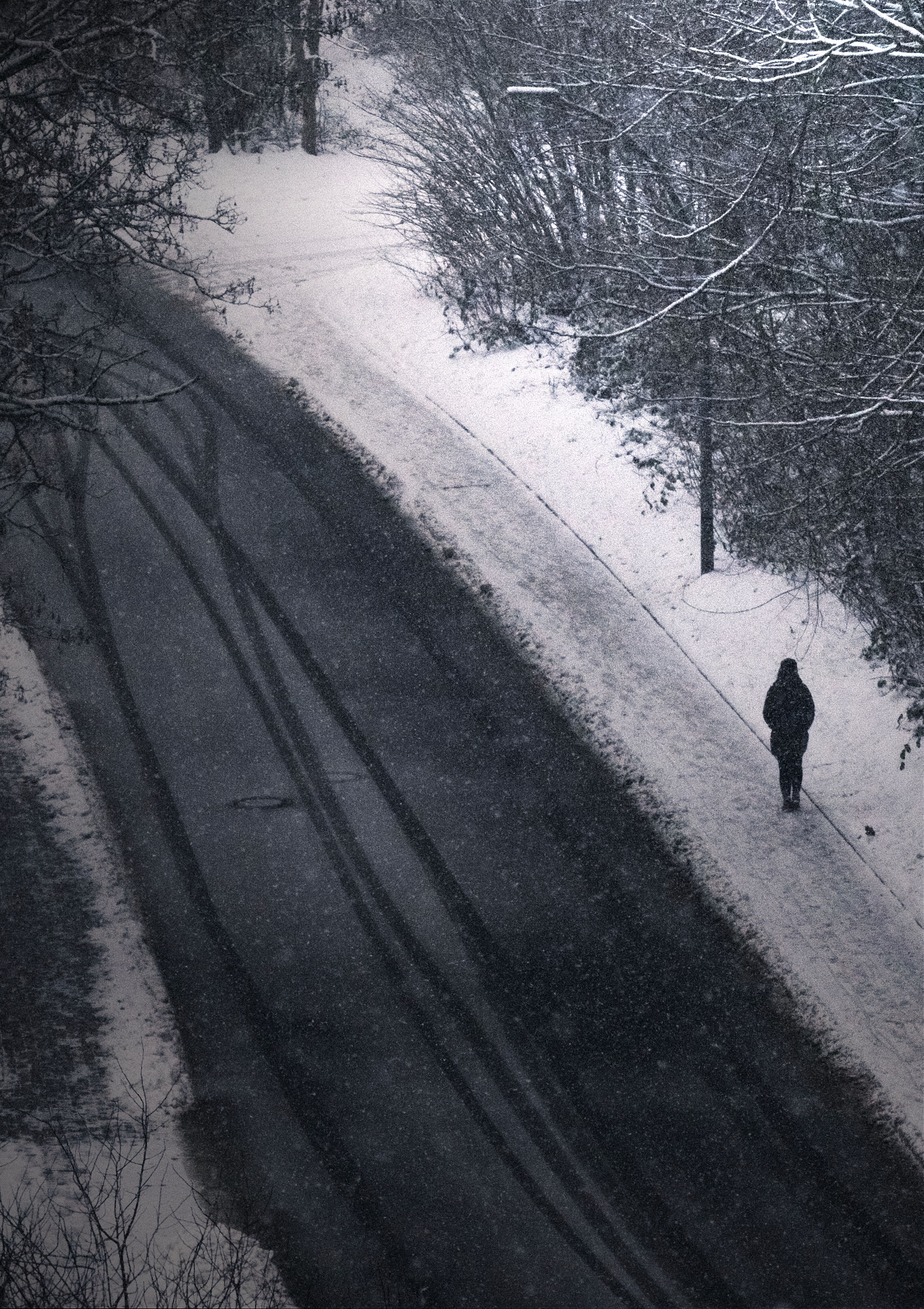 Snowy Path in Flintbek, Germany: A Solitary Walk · Free Stock Photo