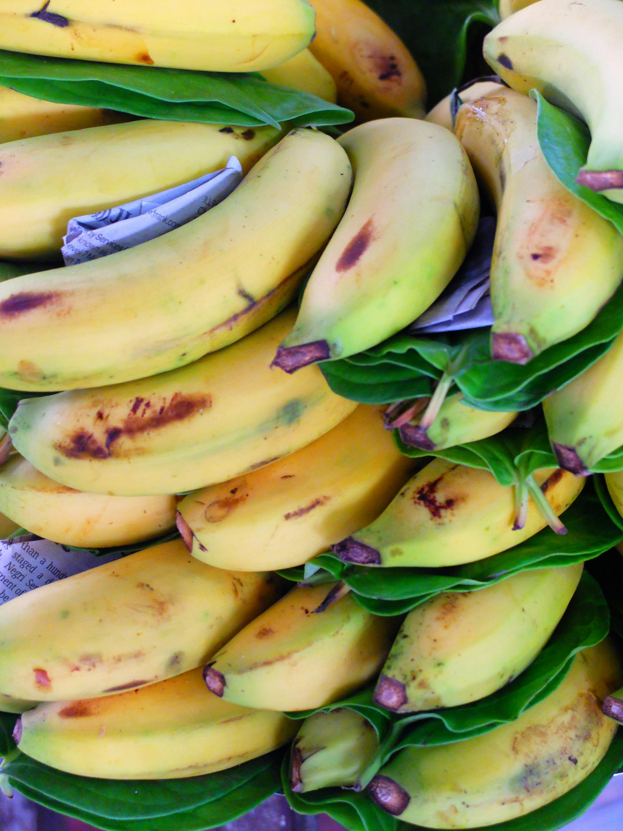 Free stock photo of banana