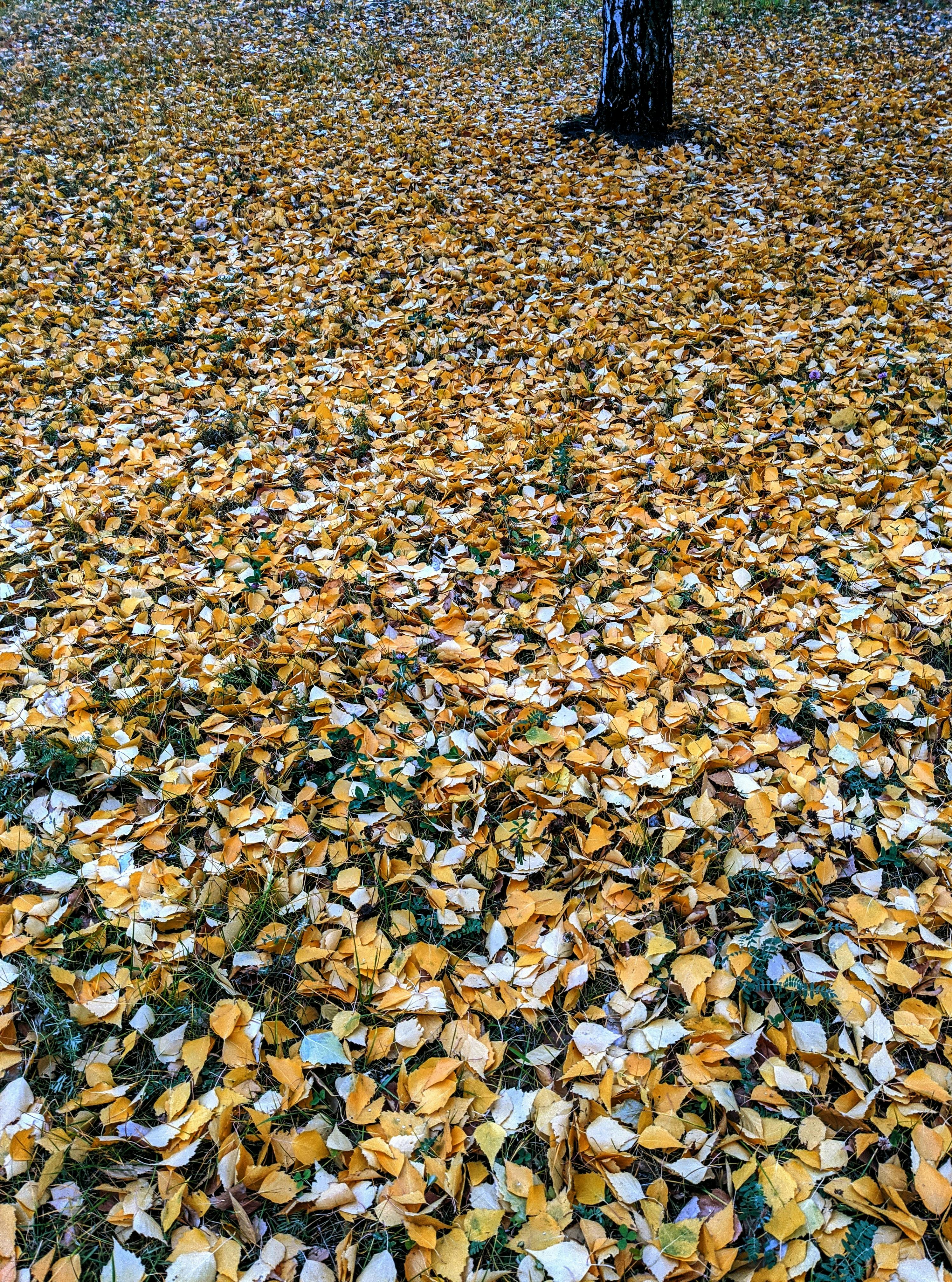 Admin Wallpaper Photos, Download The BEST Free Admin Wallpaper Stock ...