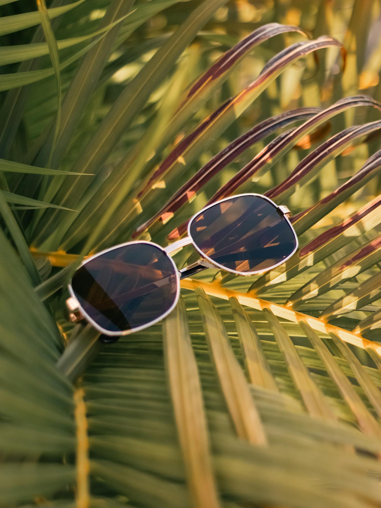 Sunglasses Beach Photos, Download The BEST Free Sunglasses Beach Stock ...