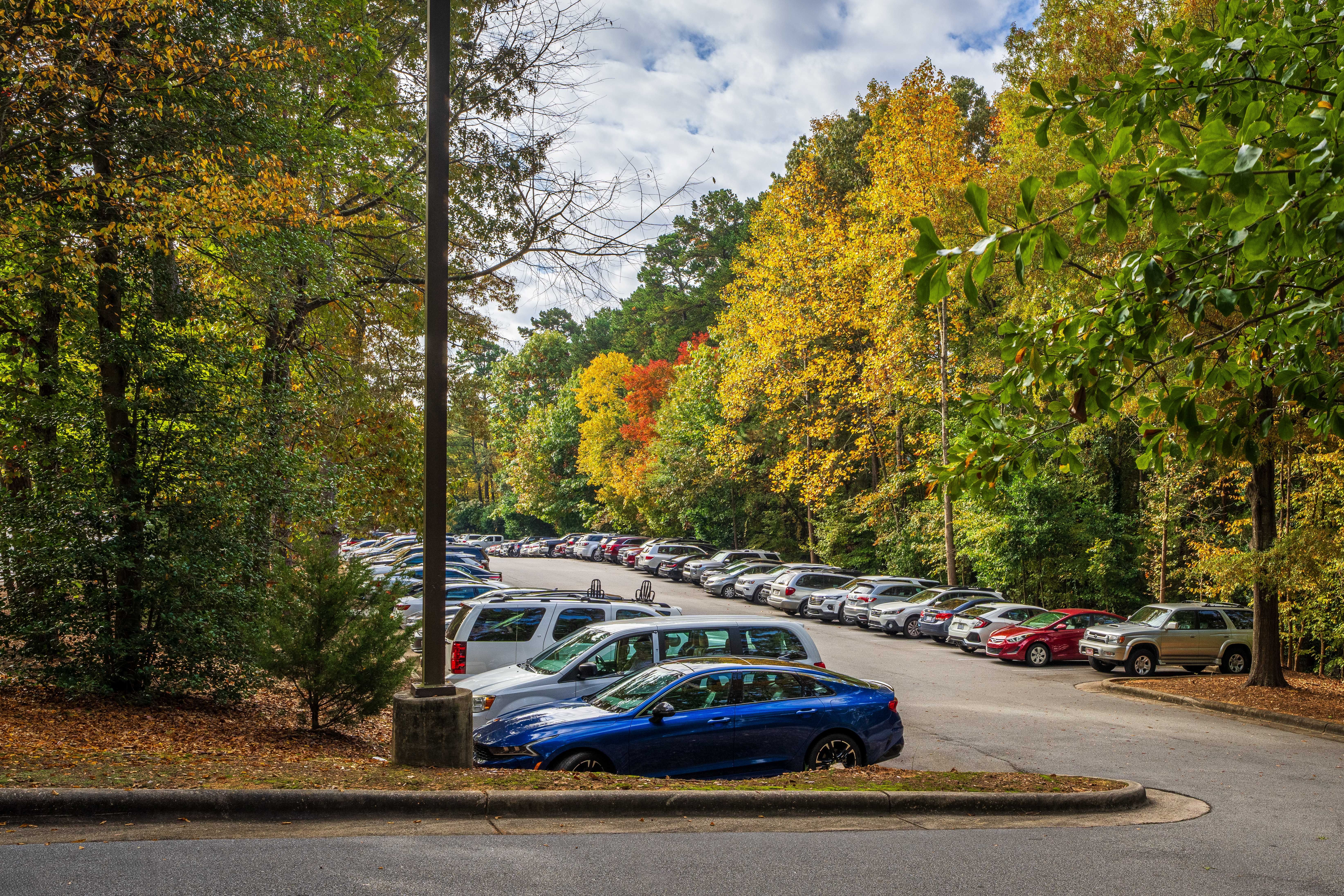 Autumn Parking Lot Surrounded by Vibrant Trees · Free Stock Photo